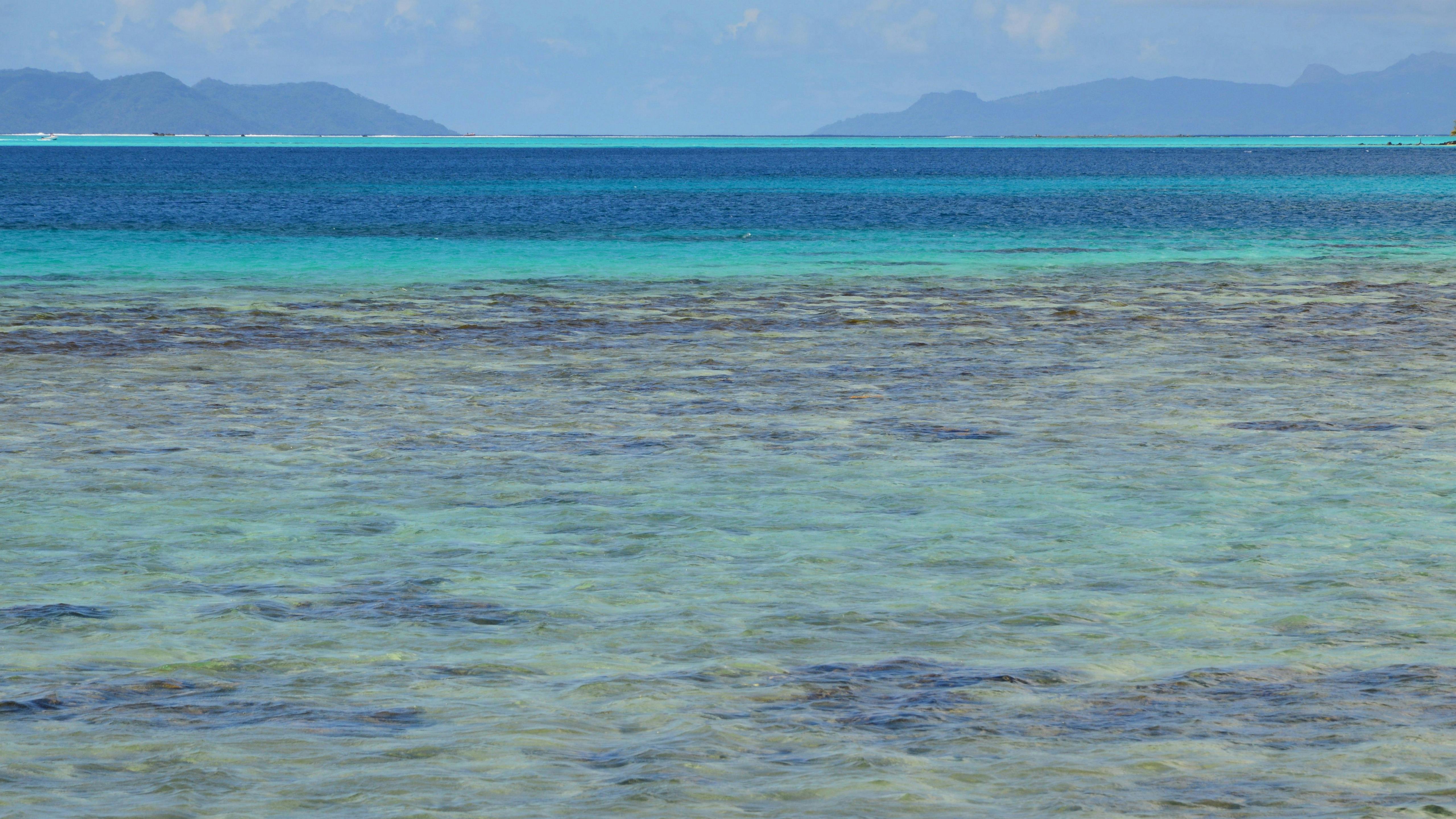 4k Oceans Photos, Download The BEST Free 4k Oceans Stock Photos & HD Images