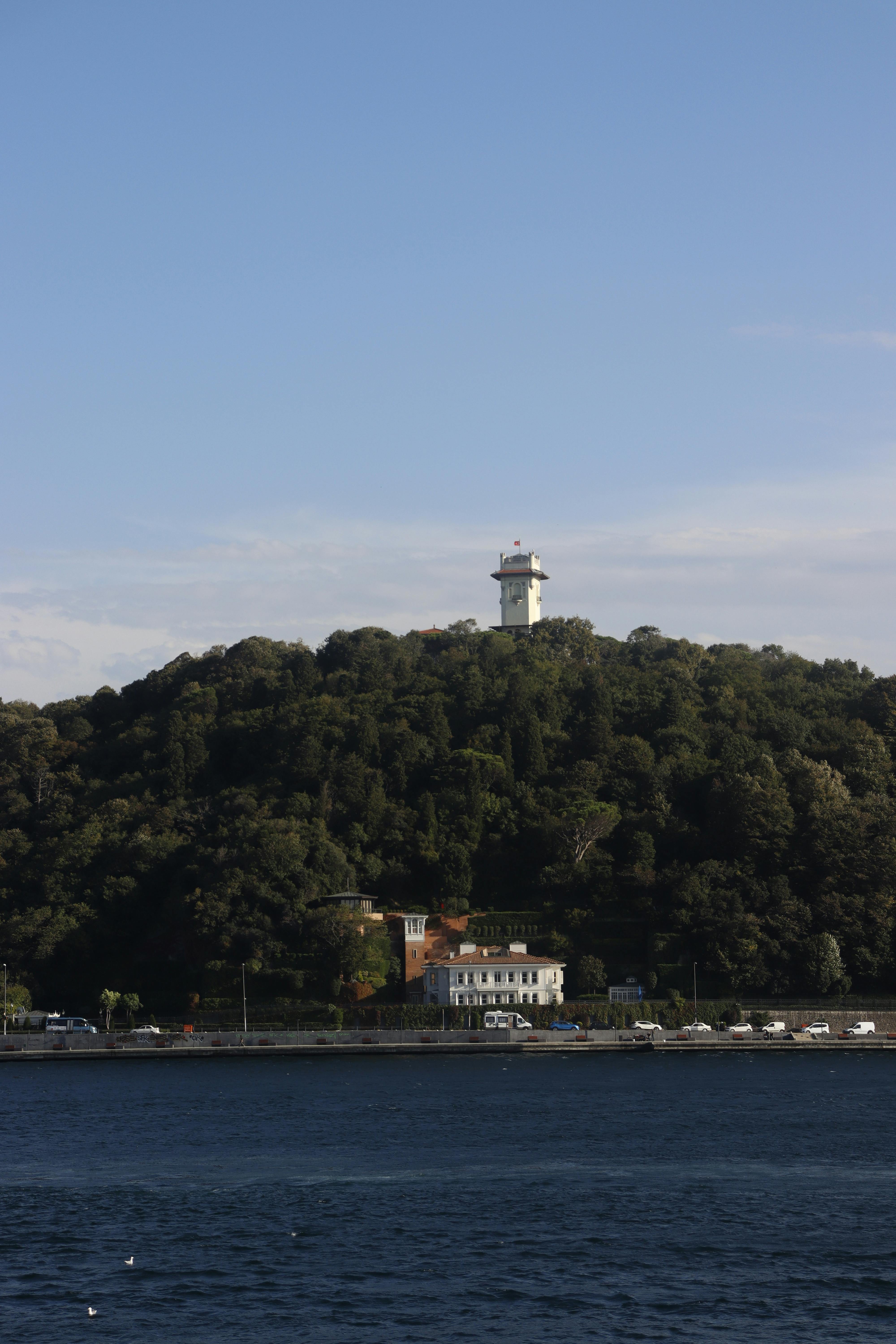 A Buildings Between Green Trees Near the Ocean · Free Stock Photo
