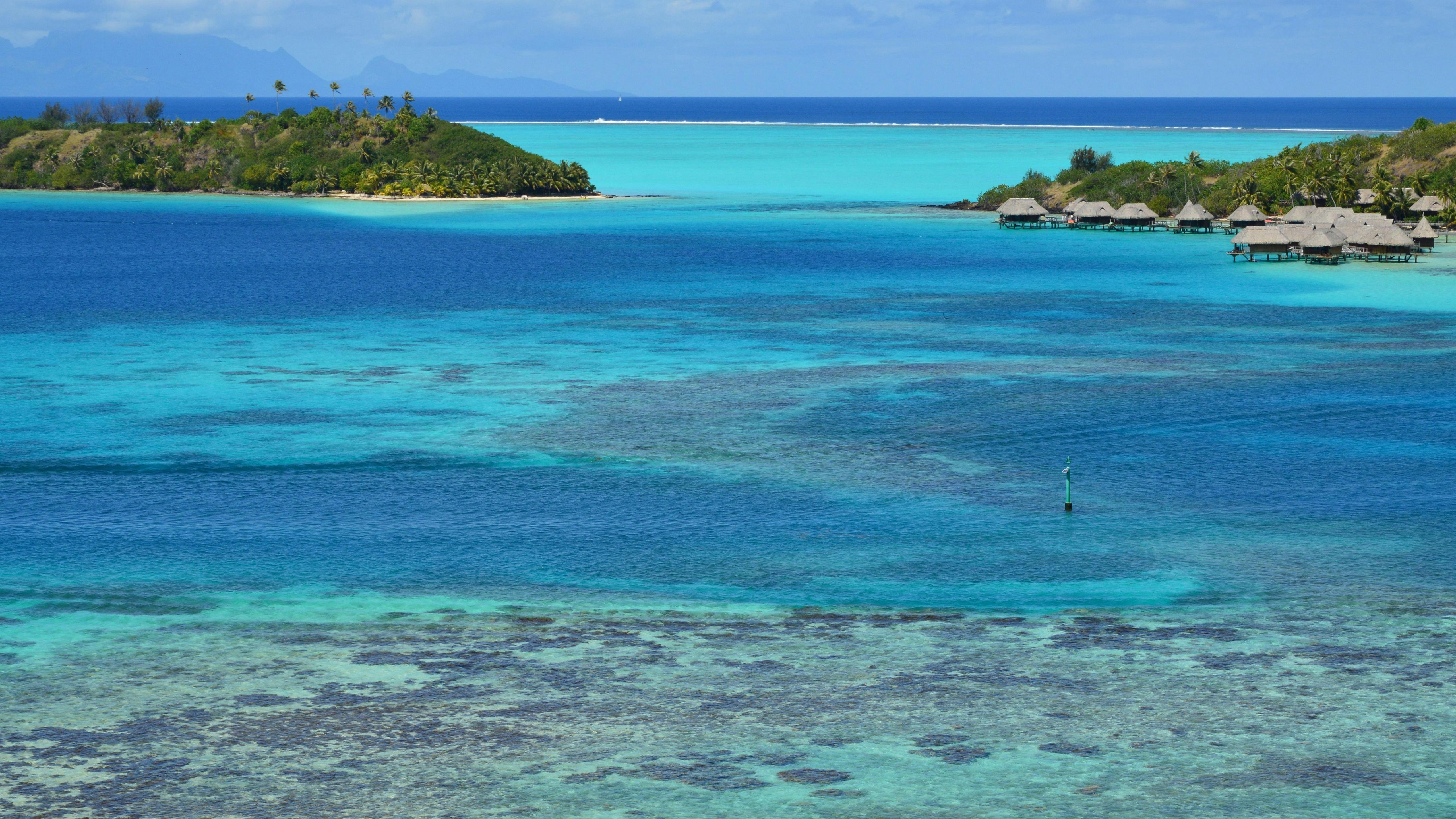 Buoy Floating at Sea · Free Stock Photo