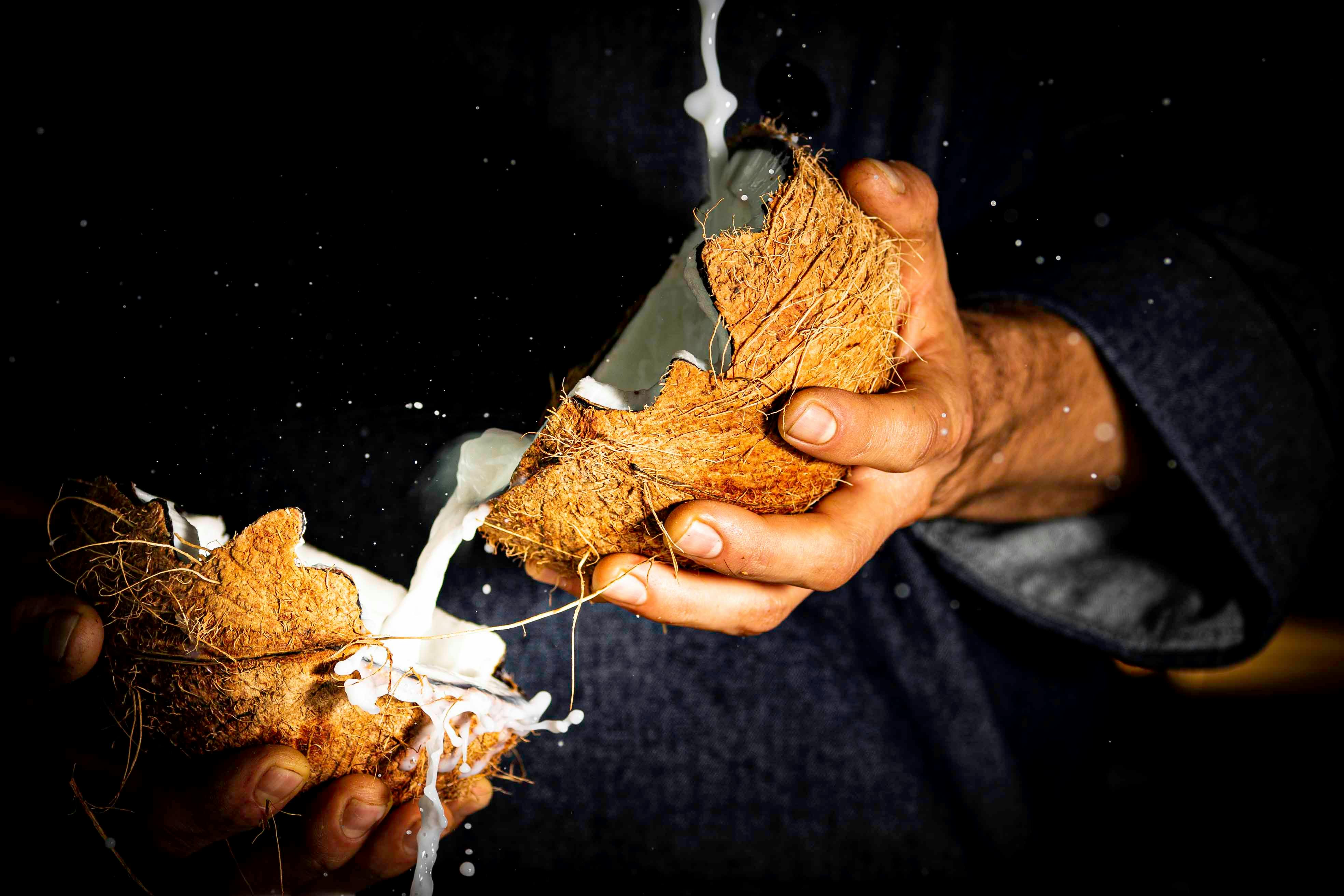 Coconut Milk Flowing on Cracked Coconut · Free Stock Photo