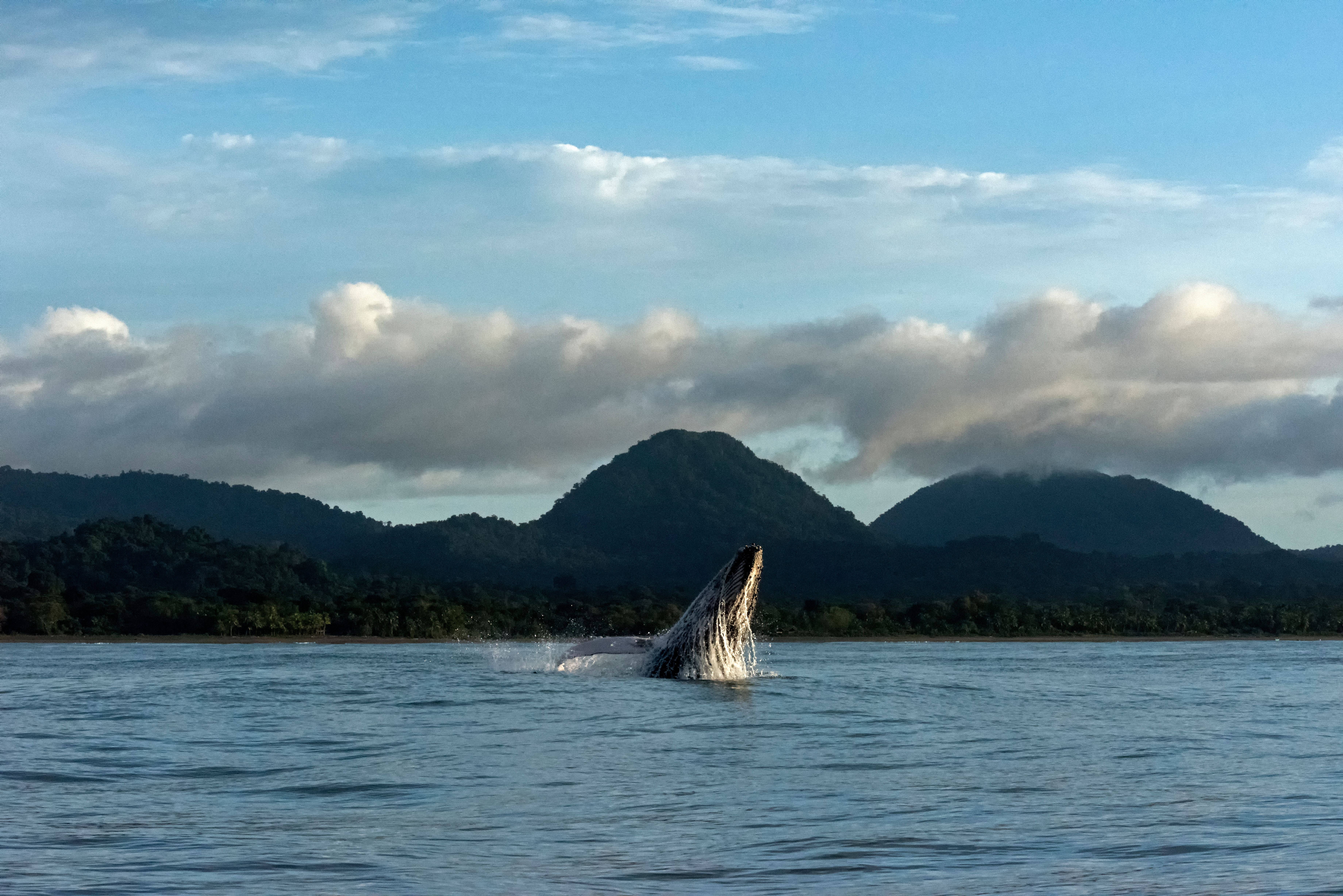 Guía para visitar en Nuquí, Colombia - Guia turistica