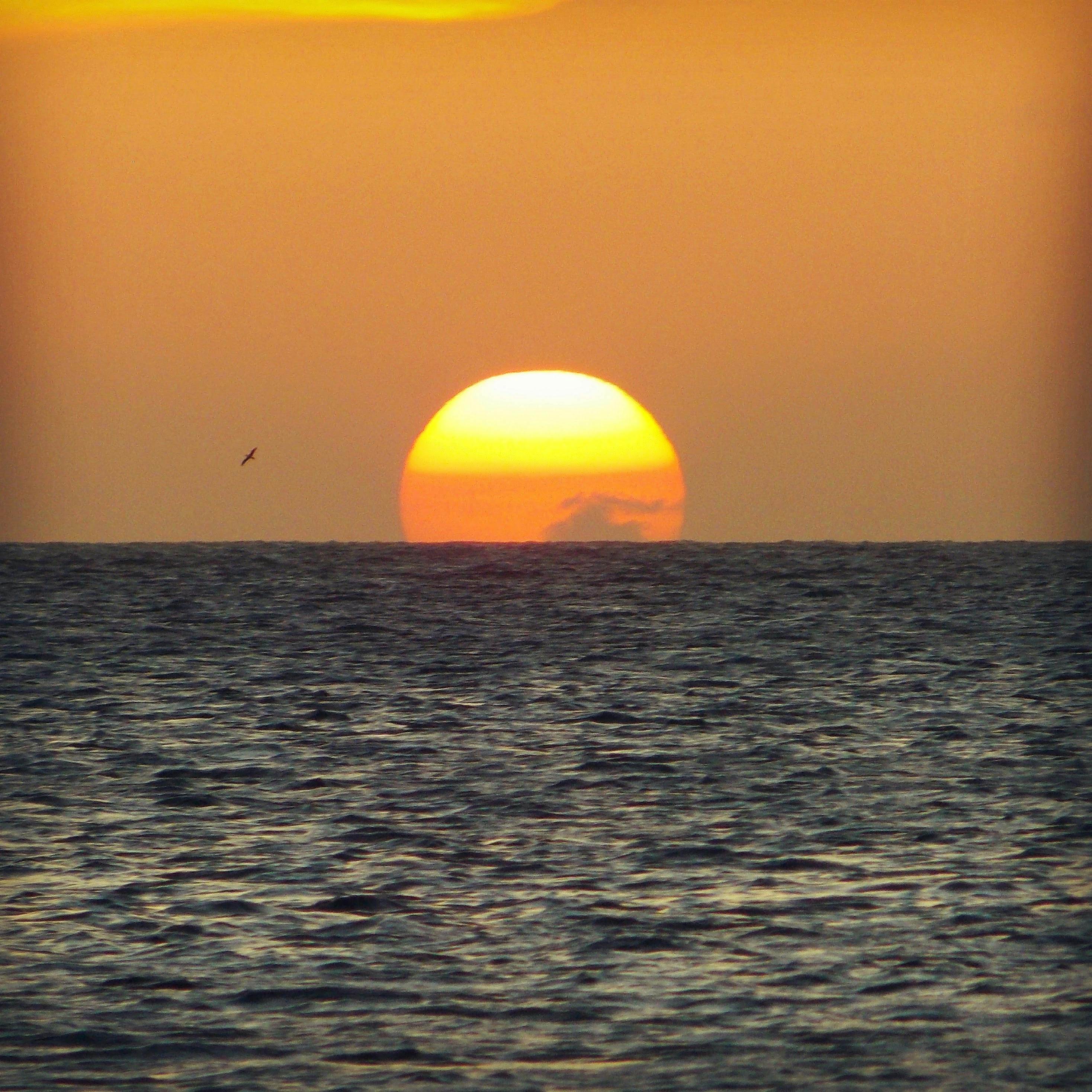 Beautiful Sunset Over the Horizon · Free Stock Photo