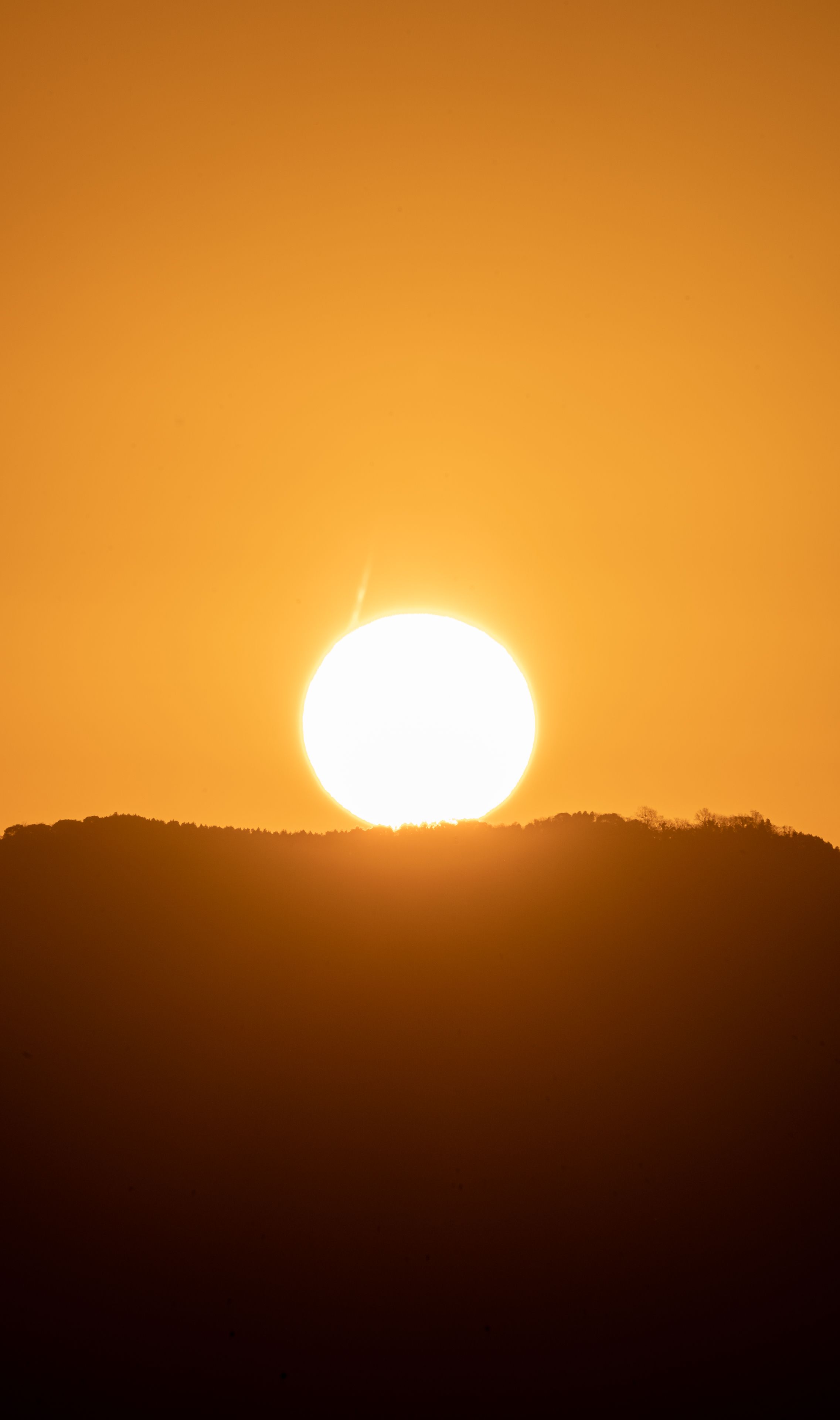 Cele mai bune 10.000+ fotografii cu tema Soare · Descărcare 100% ...
