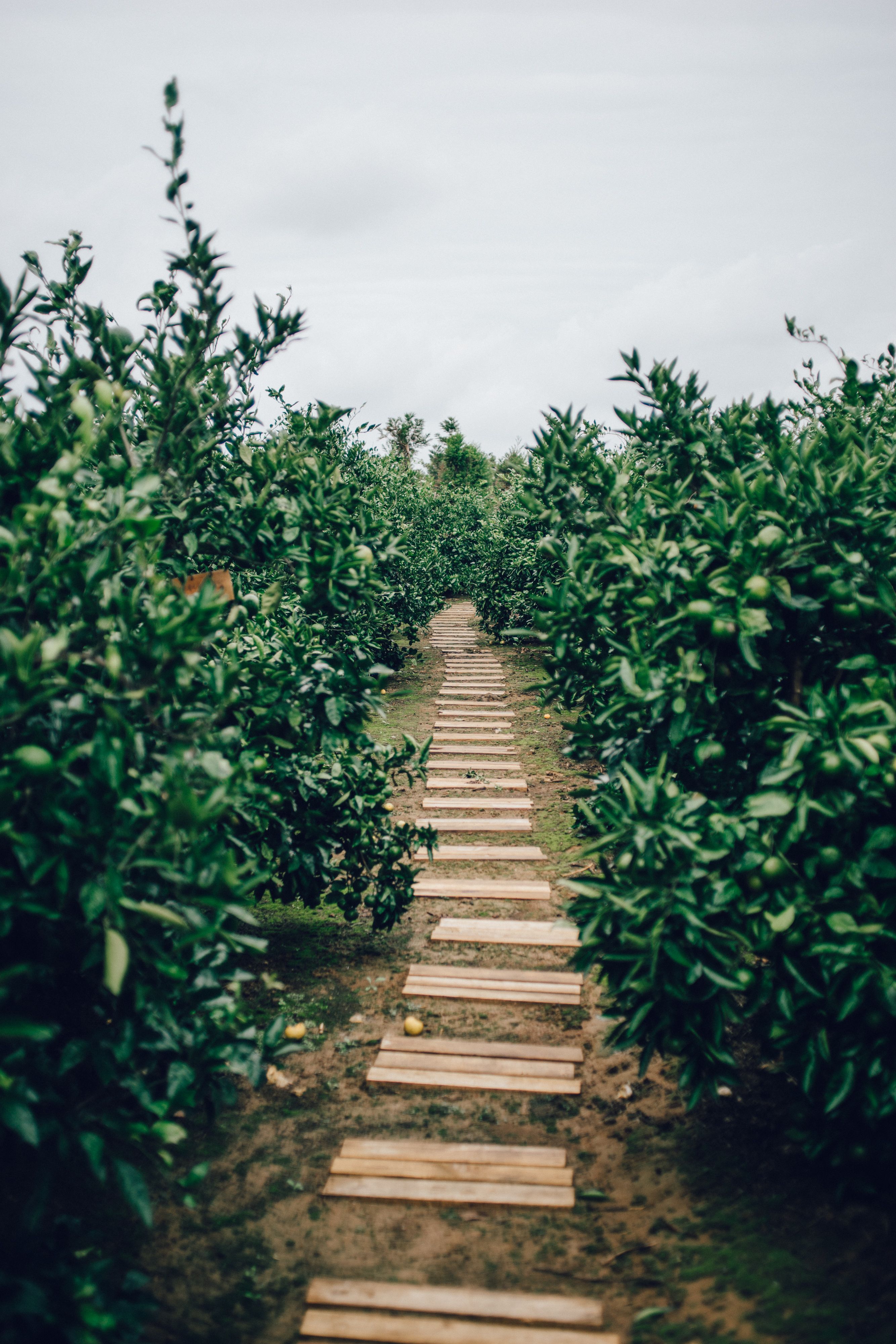 Photo of Walkway · Free Stock Photo