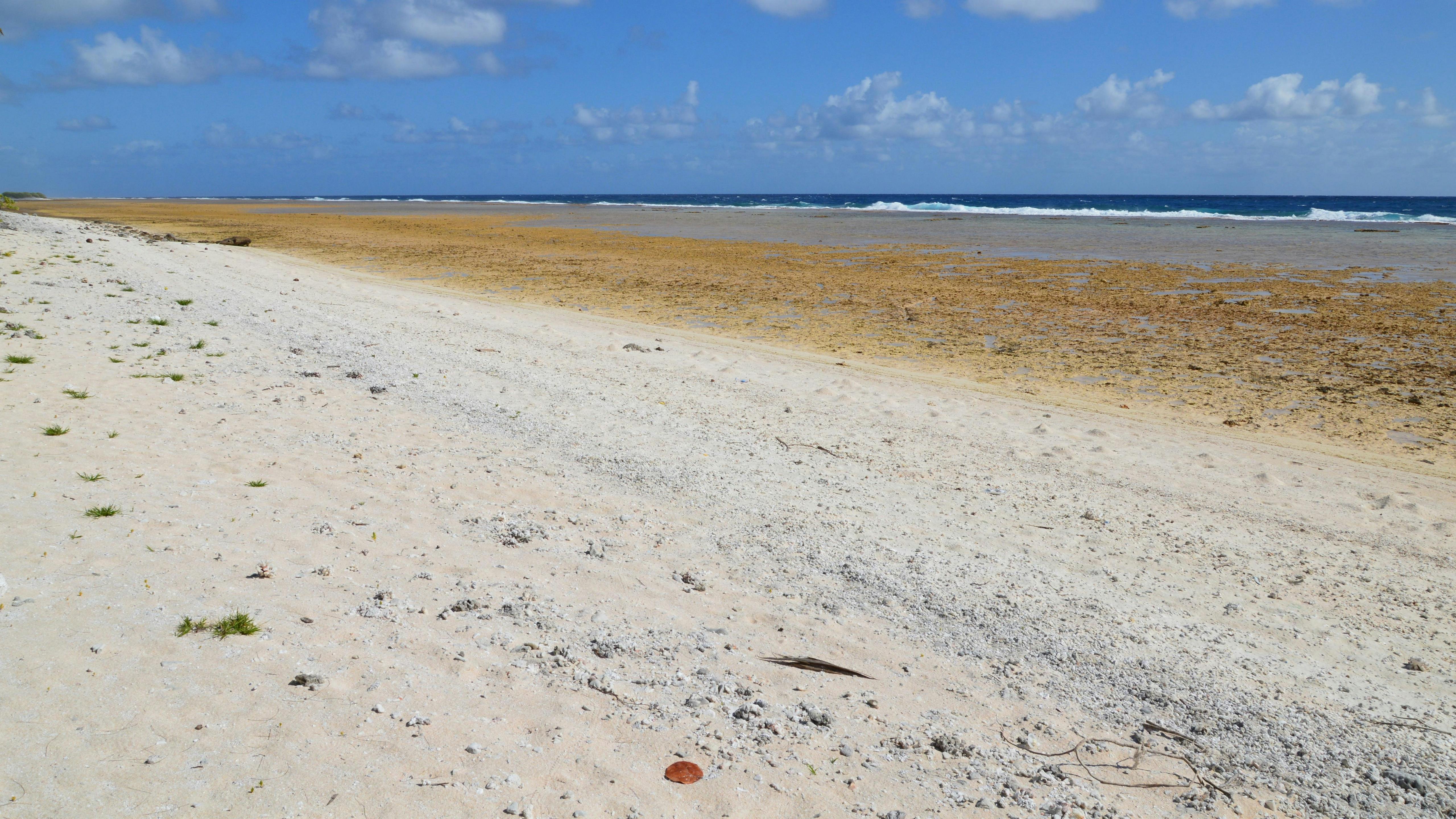Empty Sandy Beach and the Sea · Free Stock Photo