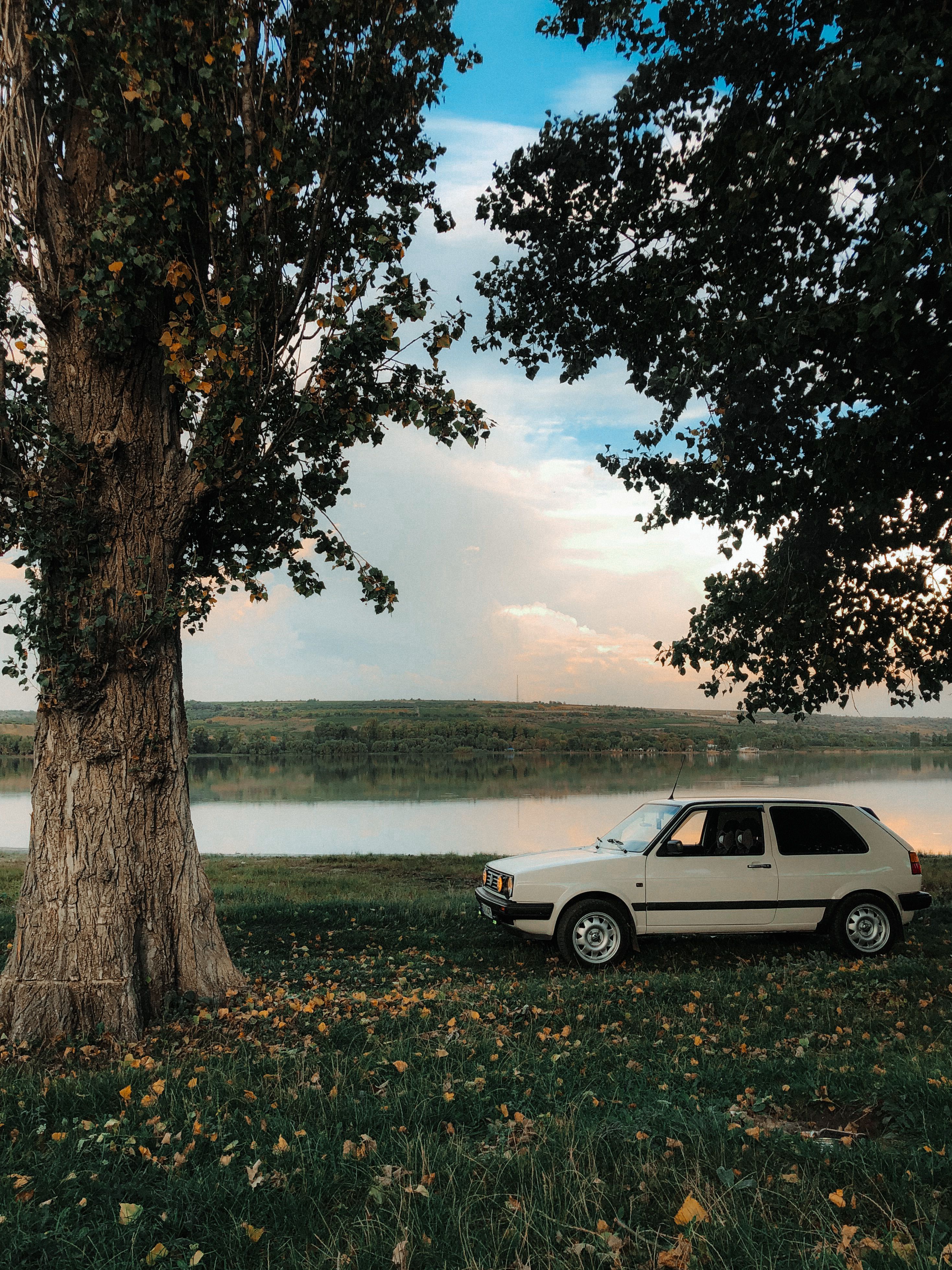 White Car Parked Beside Tree Near Body of Water · Free Stock Photo
