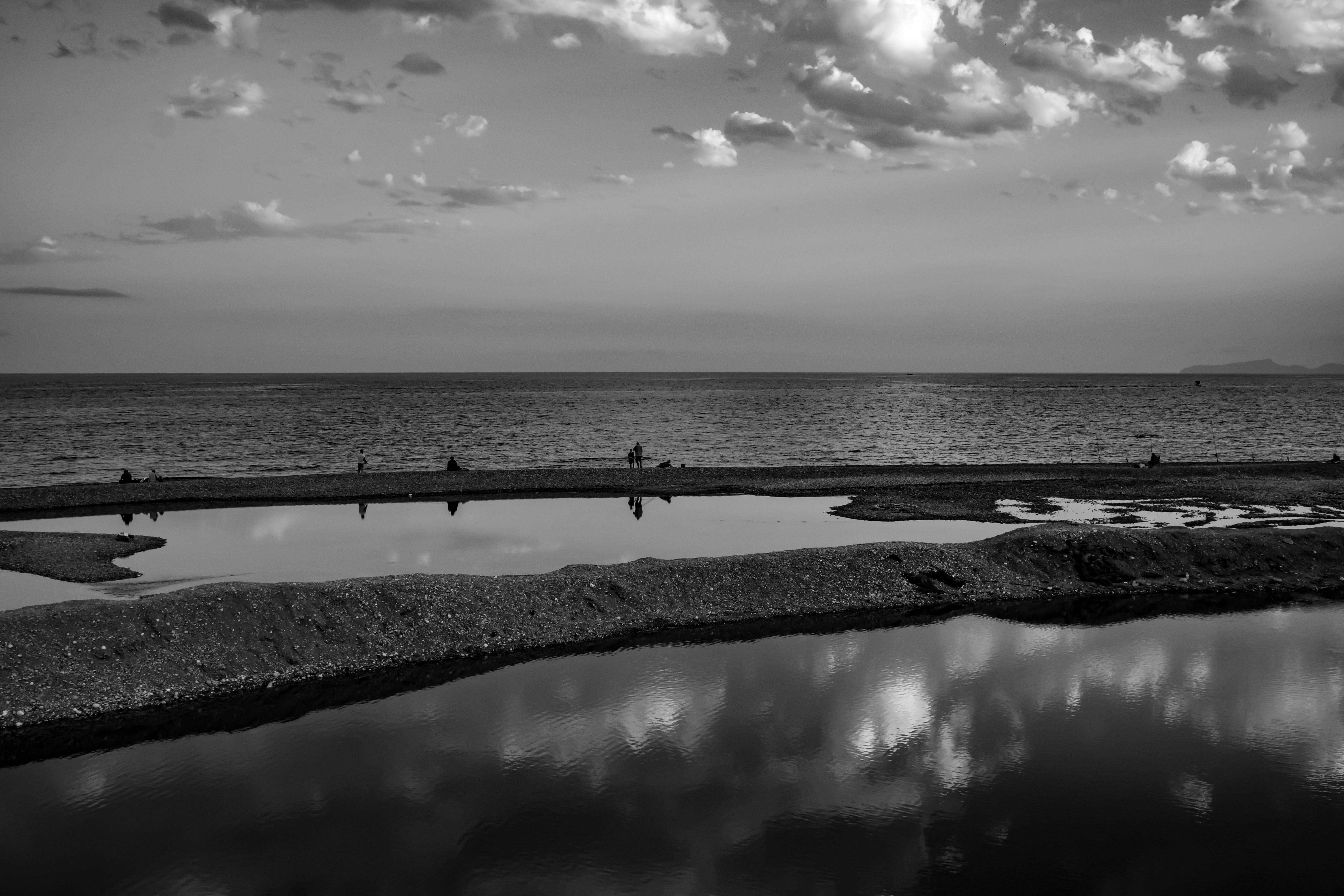 Grayscale Photo of Bondi Beach · Free Stock Photo