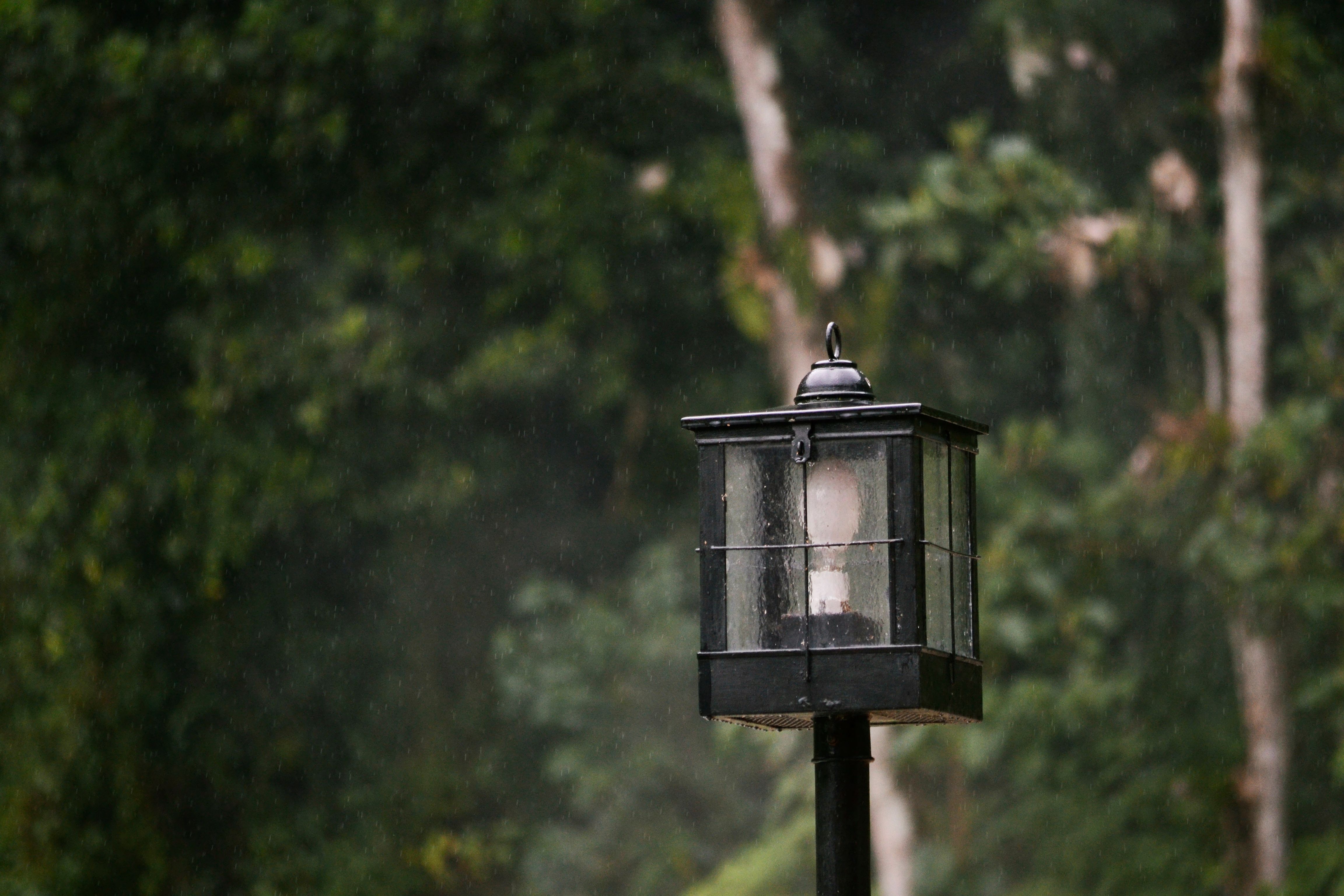 A Black Metal Post Lamp While Raining · Free Stock Photo