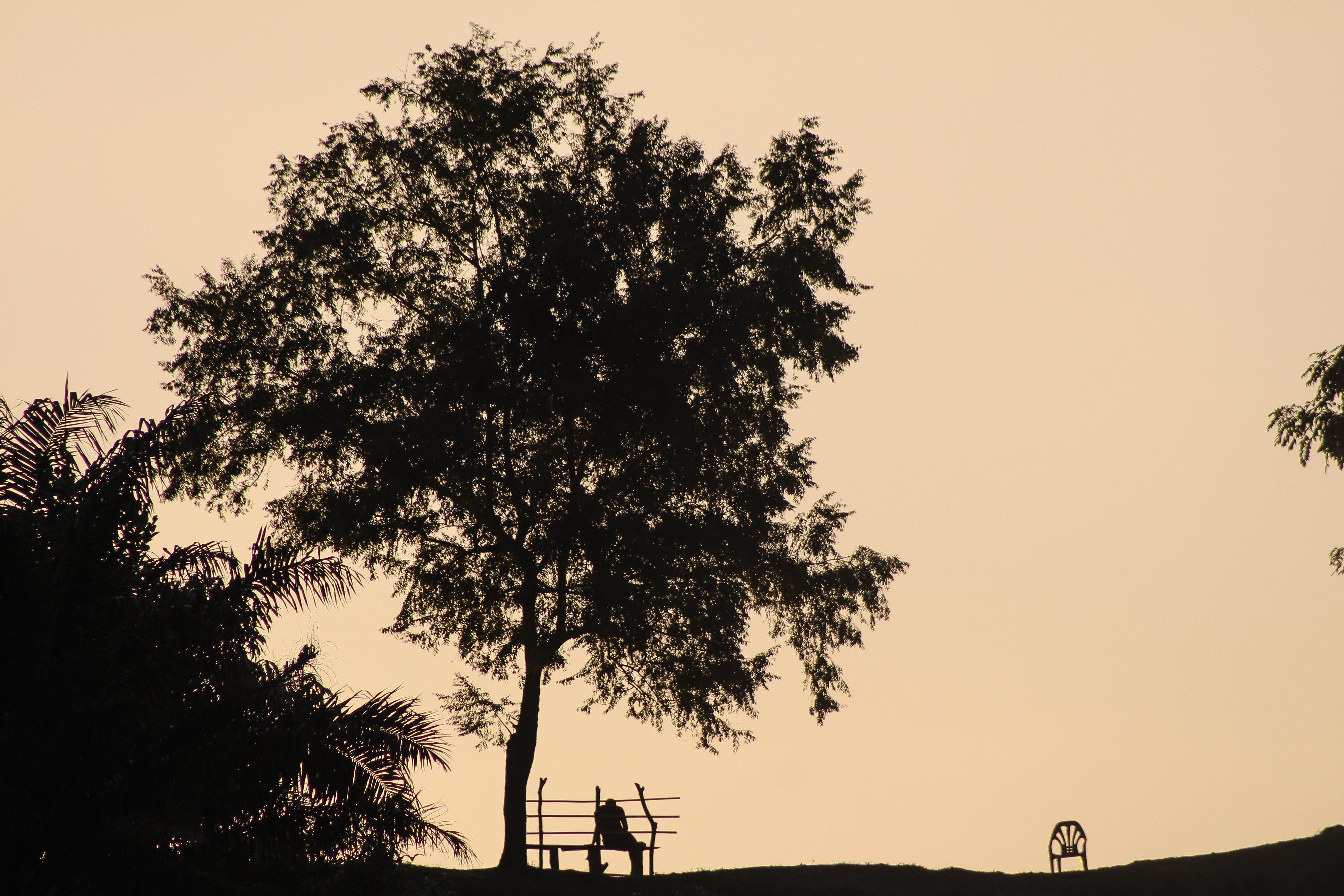 People Sitting Under Tree Photos, Download The BEST Free People Sitting ...