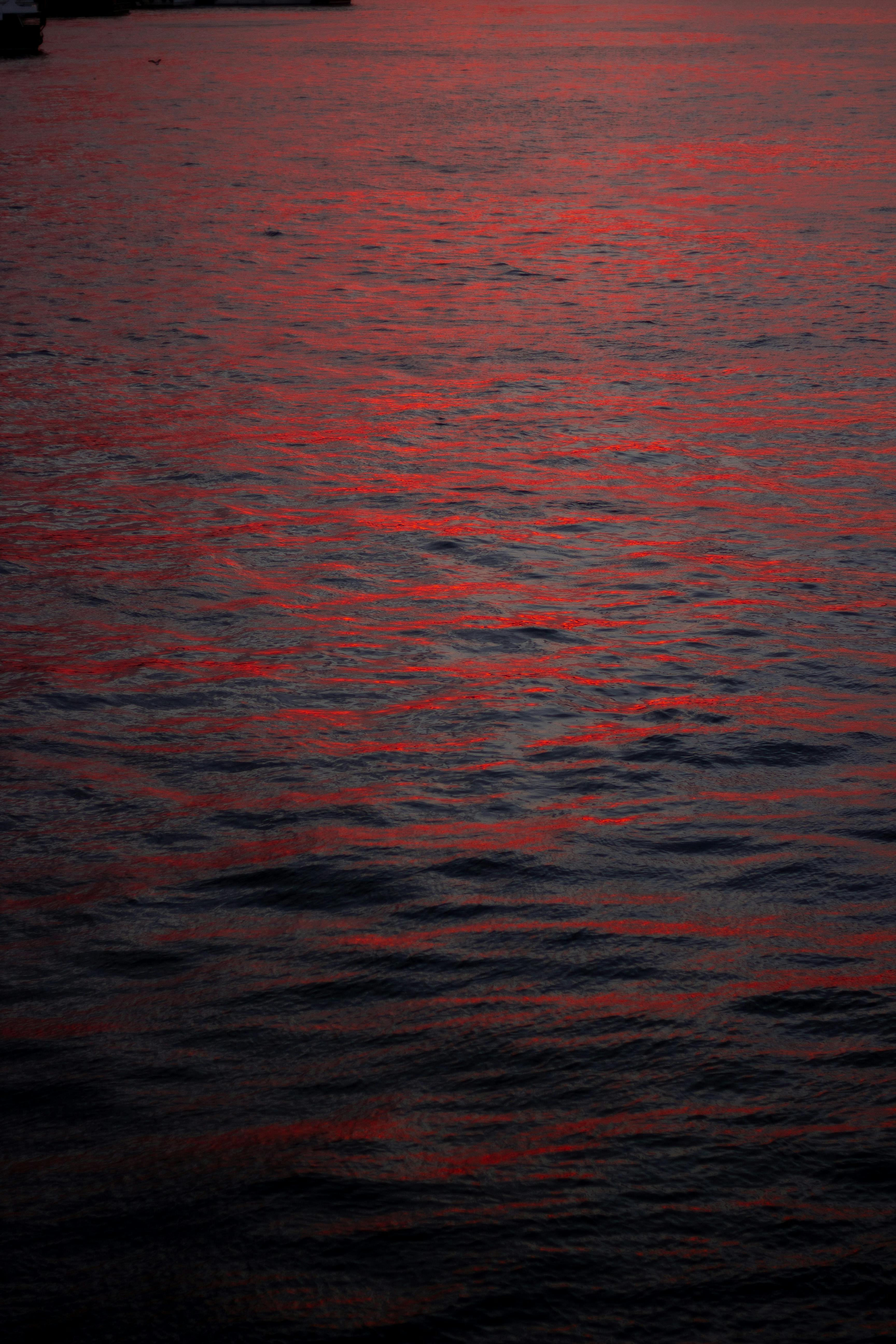 Senari Photos, Download The BEST Free Senari Stock Photos & HD Images