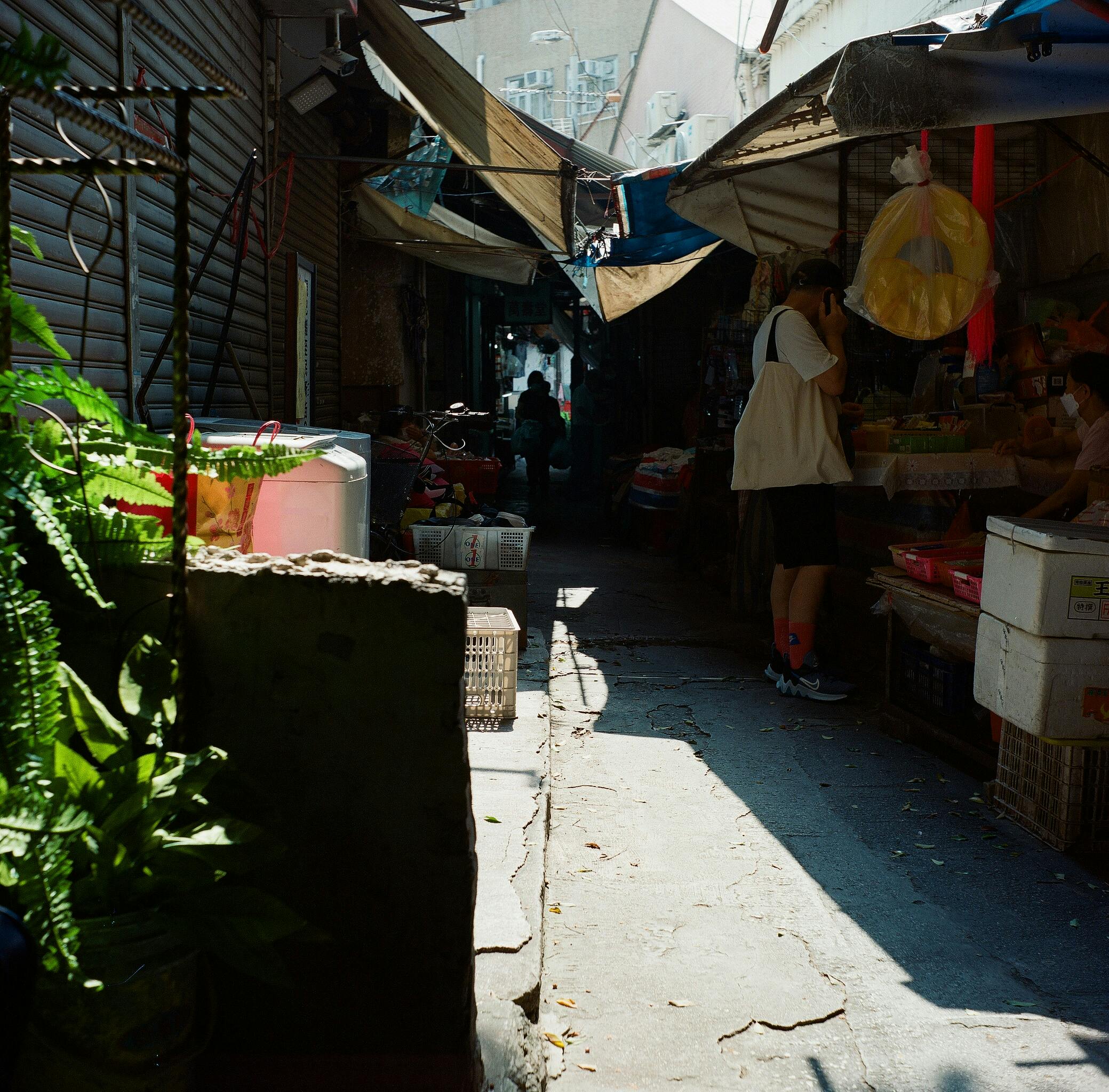 Tim Tim Chan - 写真