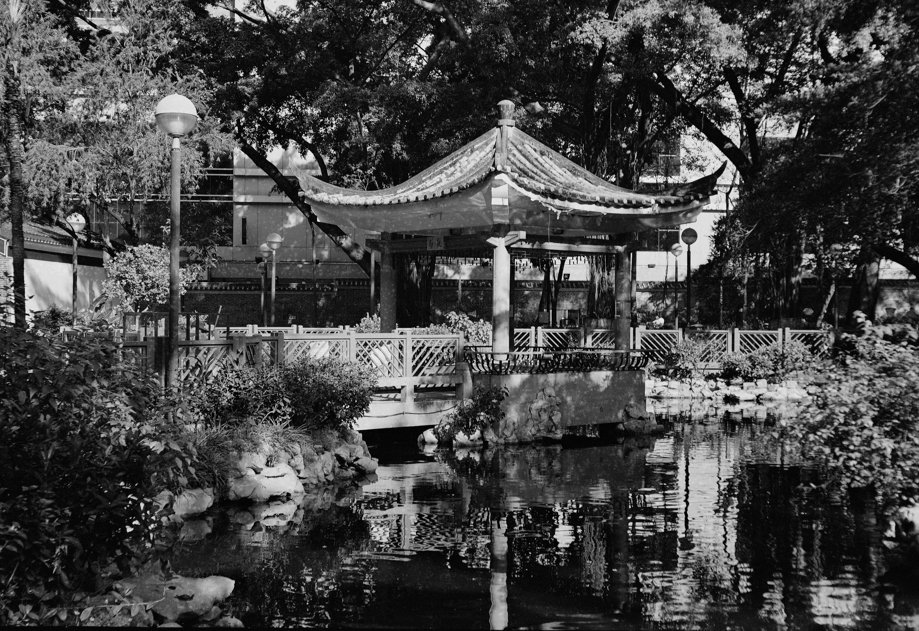 Tim Tim Chan - Photographie