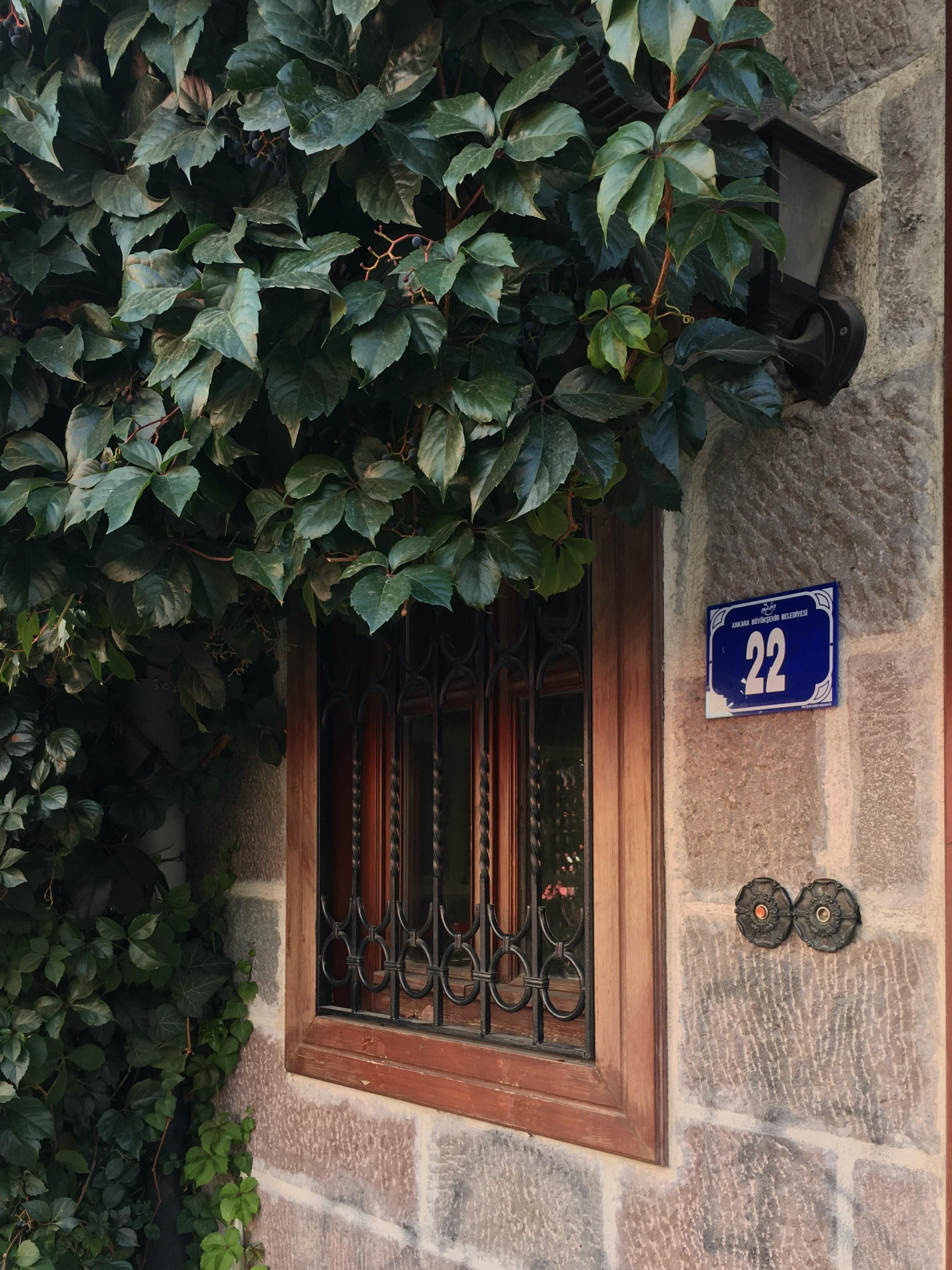 Brown Wooden Window Frame With Green Plant · Free Stock Photo
