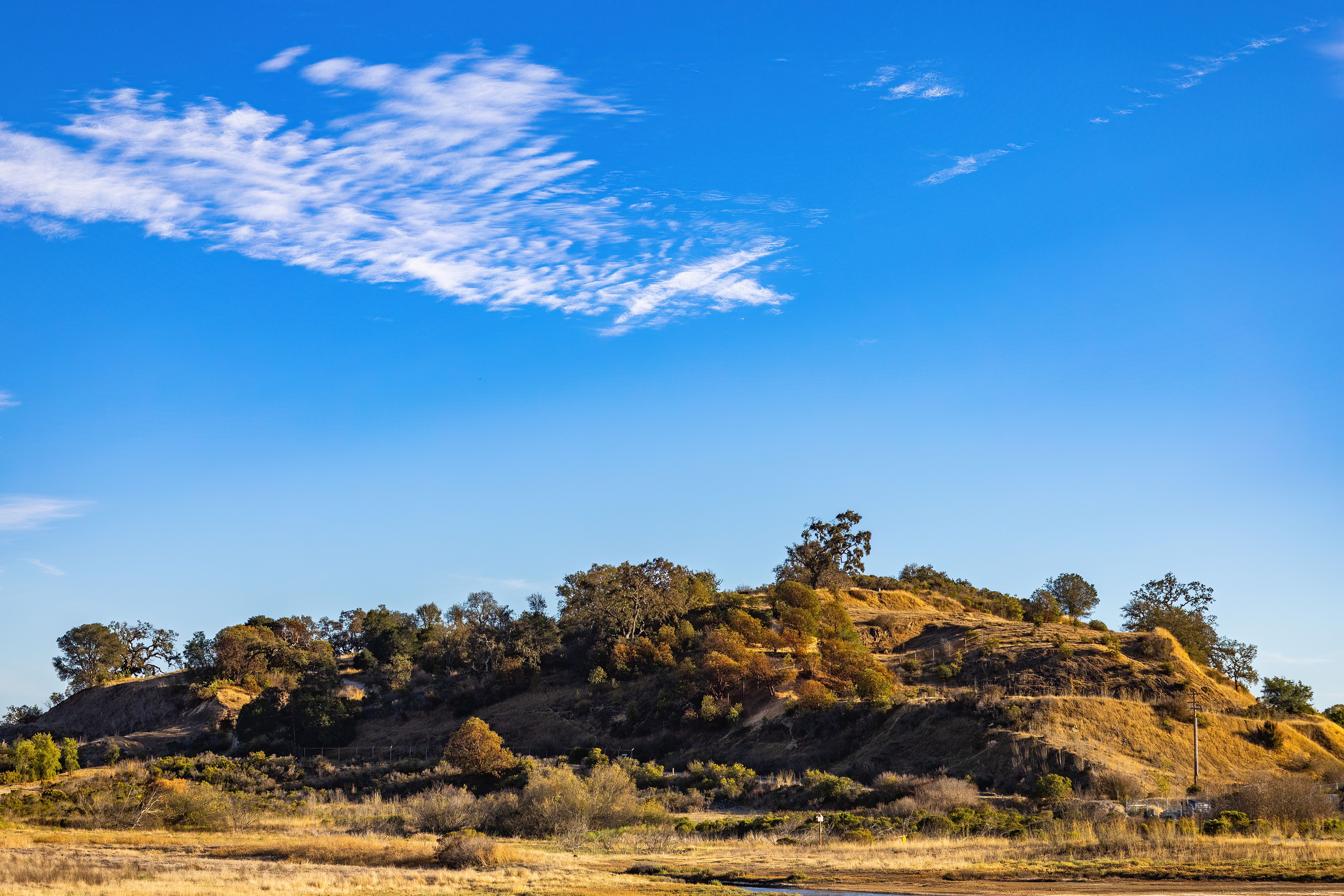 Green Mound with Trees, and Blue Sky · Free Stock Photo