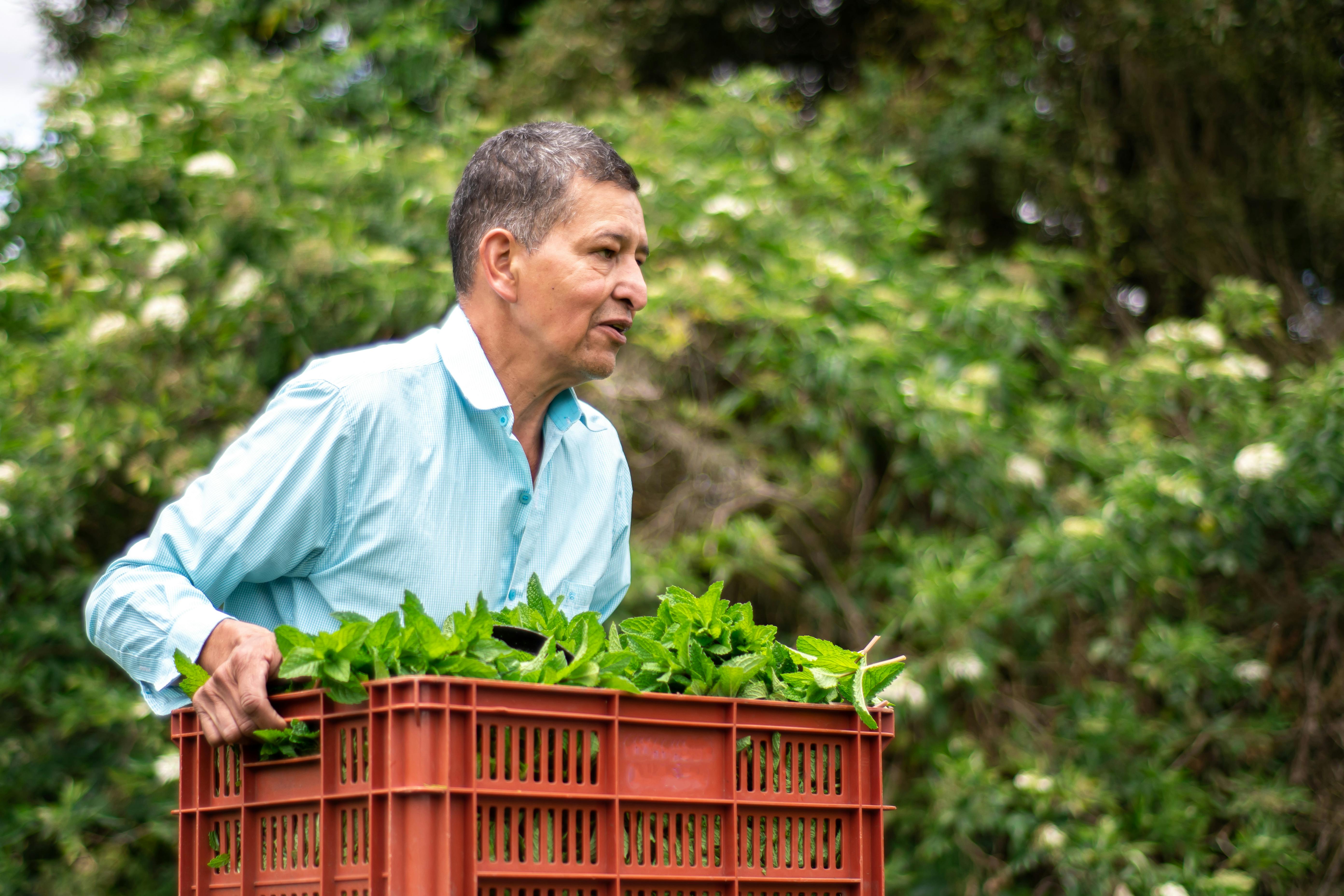 Man Carrying a Red Plastic Crate · Free Stock Photo