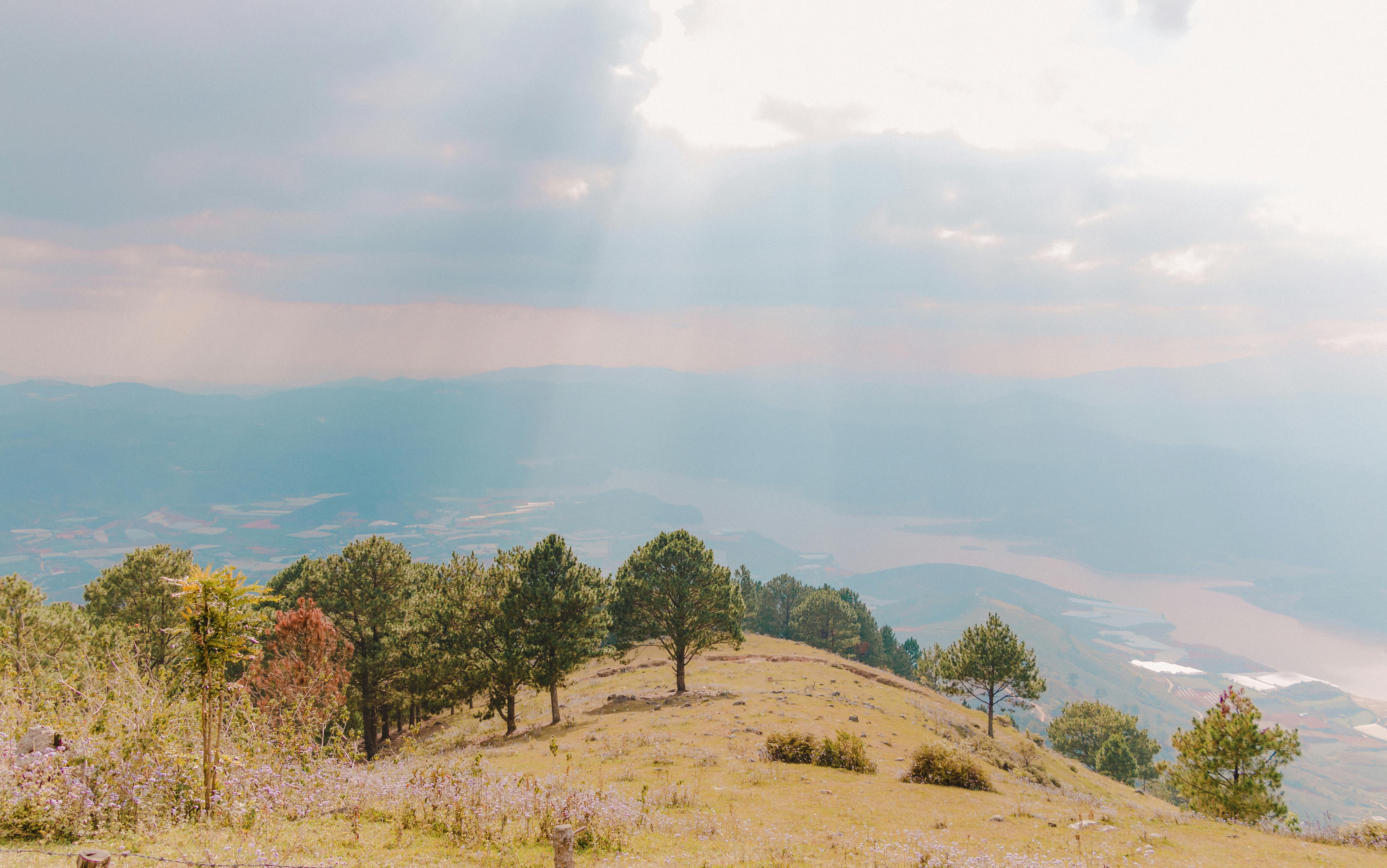 Green Trees on Top of Mountain · Free Stock Photo