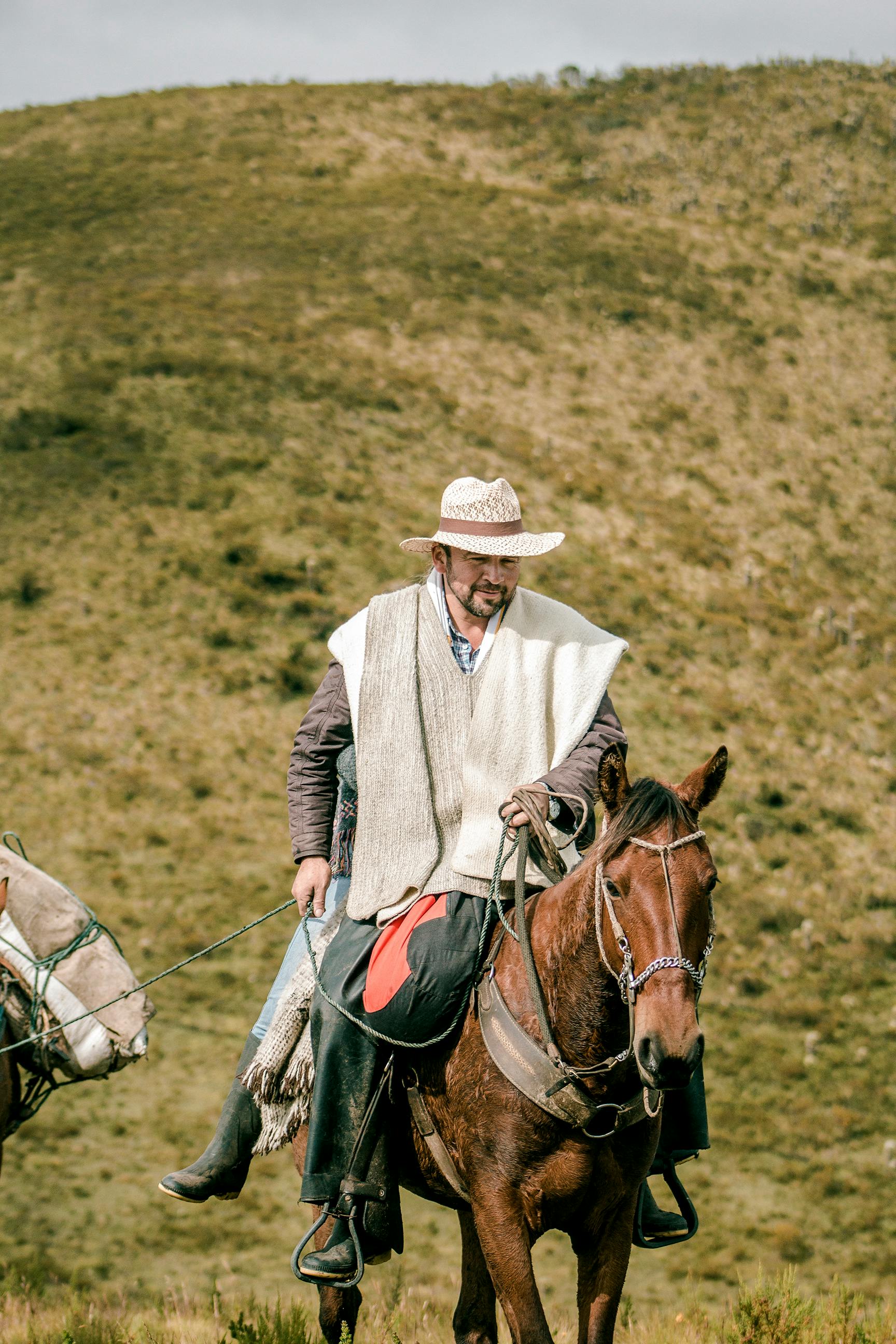 Man Riding Horse on Hill · Free Stock Photo