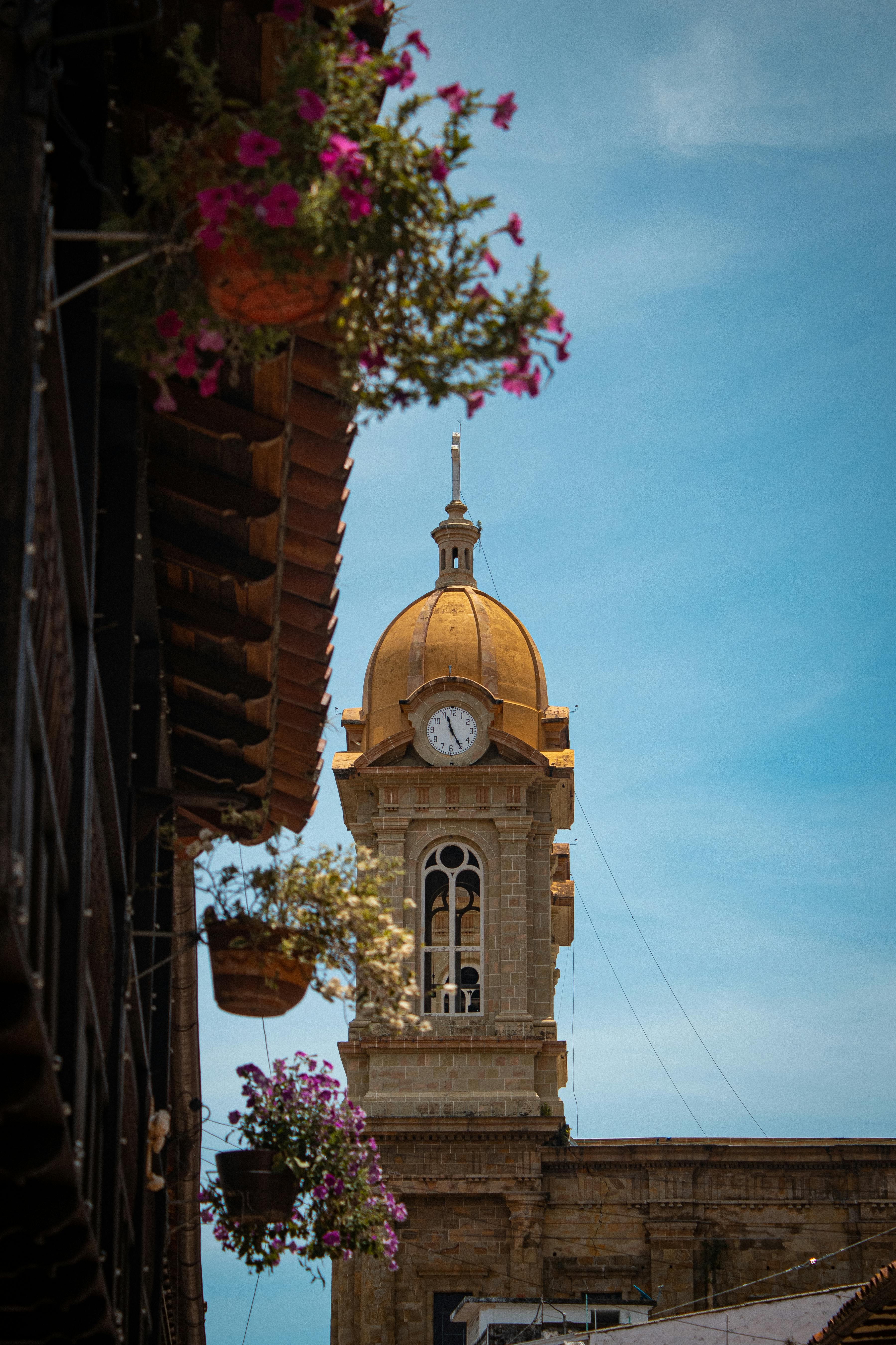 Clock Tower with Golden Cupola, and Potted Flowers in Foreground · Free ...