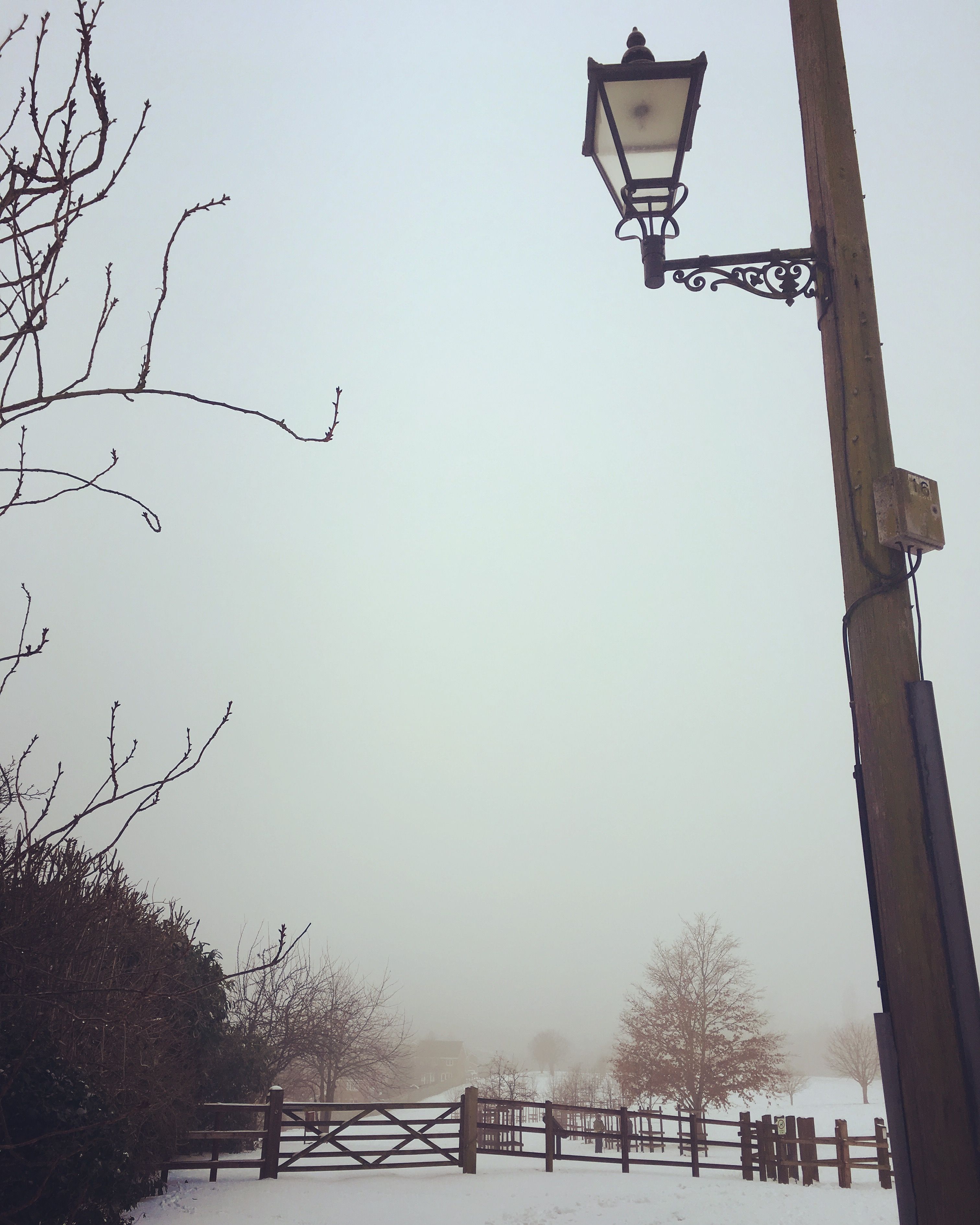 Free stock photo of lamppost, Narnia Lampost, snow
