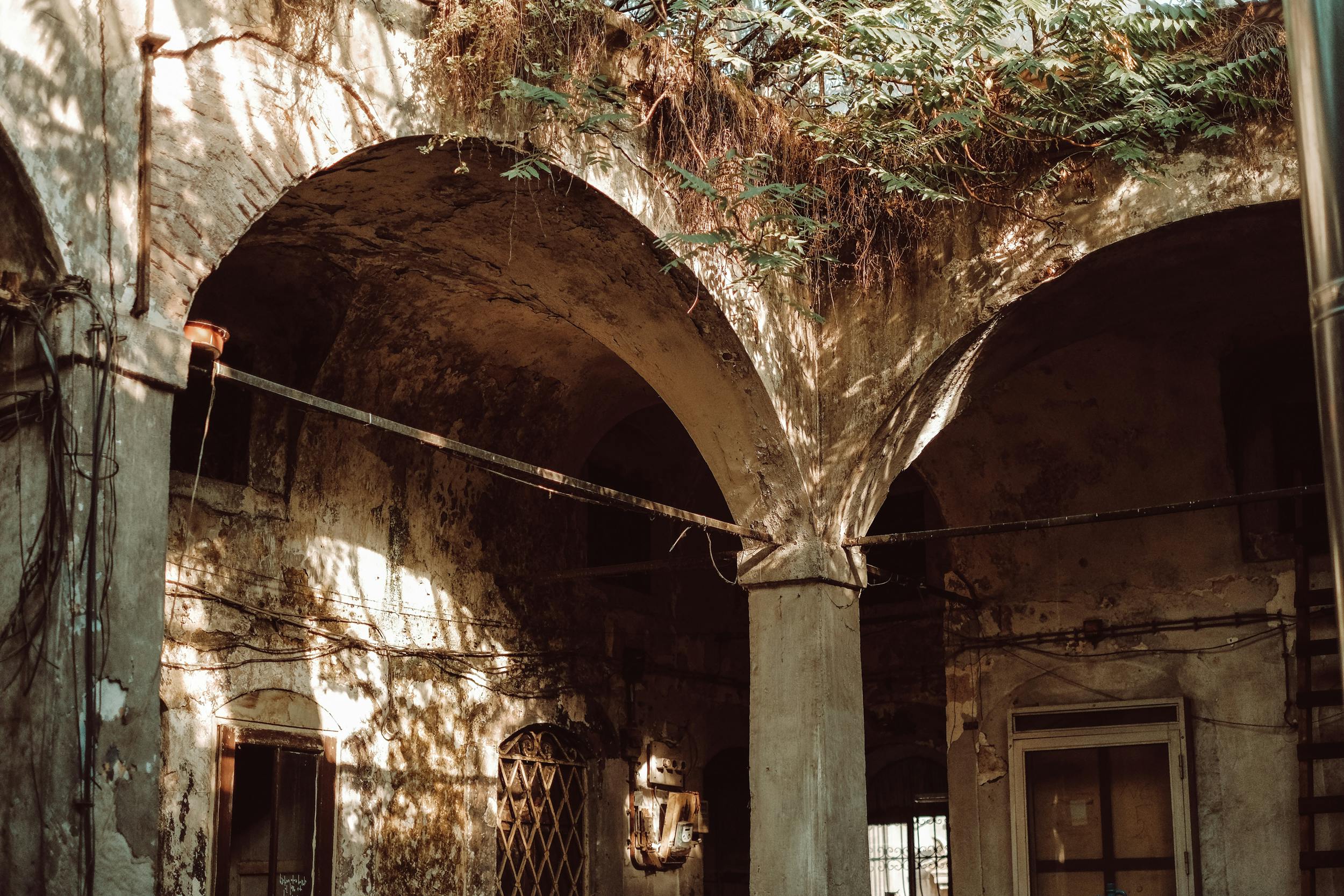 A Brown Arch Inside a Building Covered Ferns · Free Stock Photo
