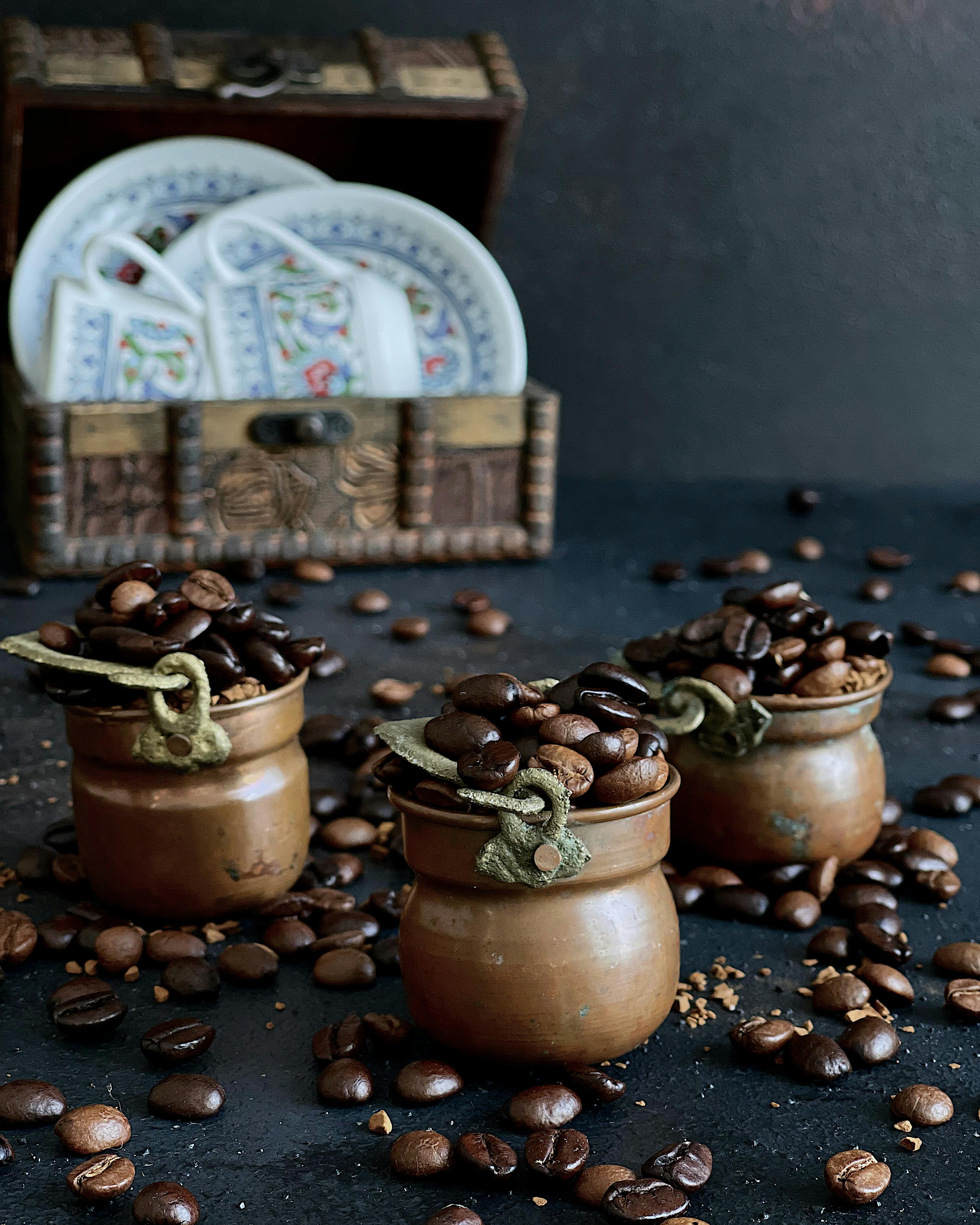 Man in Apron Selecting Coffee Beans · Free Stock Photo
