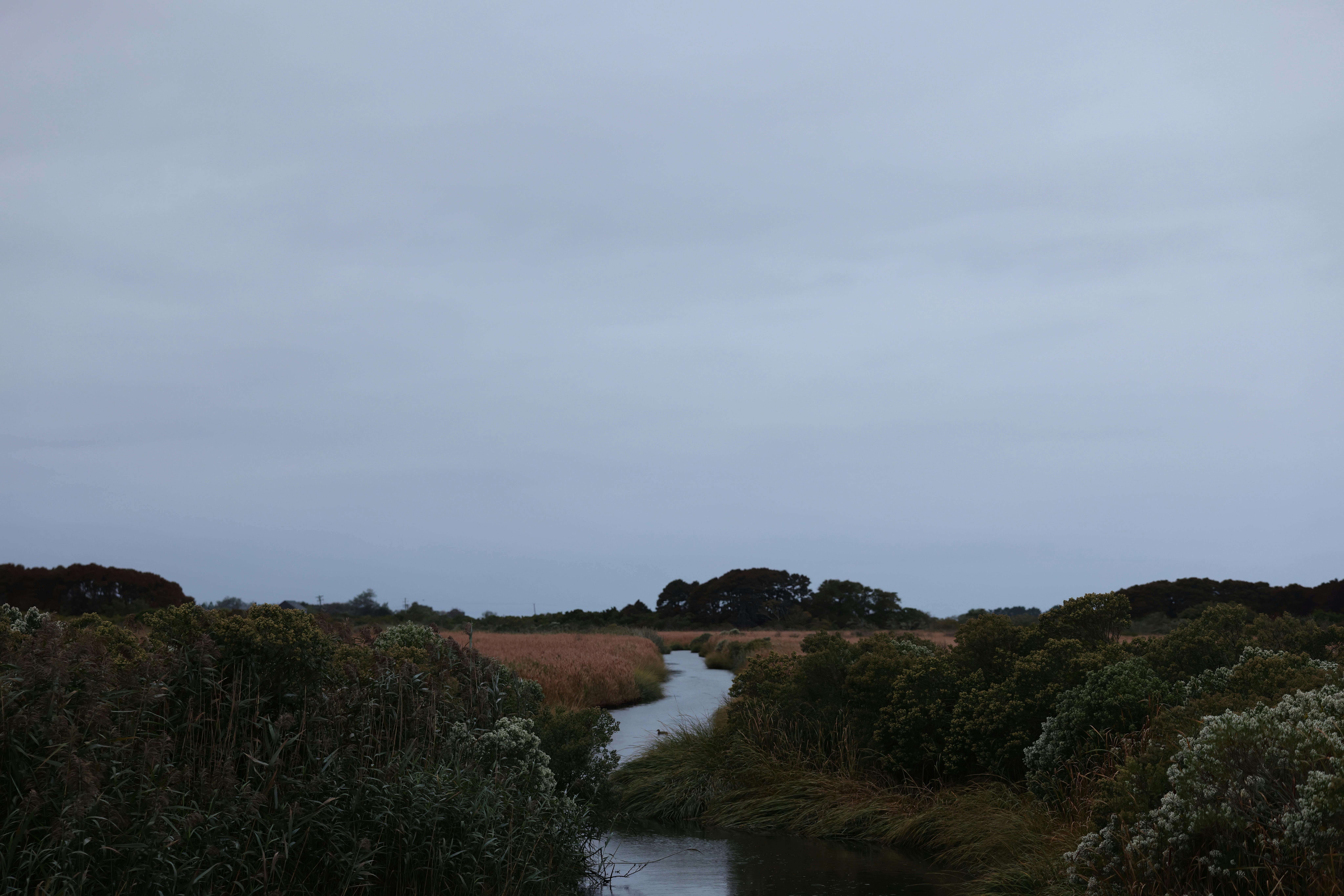 A Body of Water Between Grass Fields Under Gray Sky · Free Stock Photo