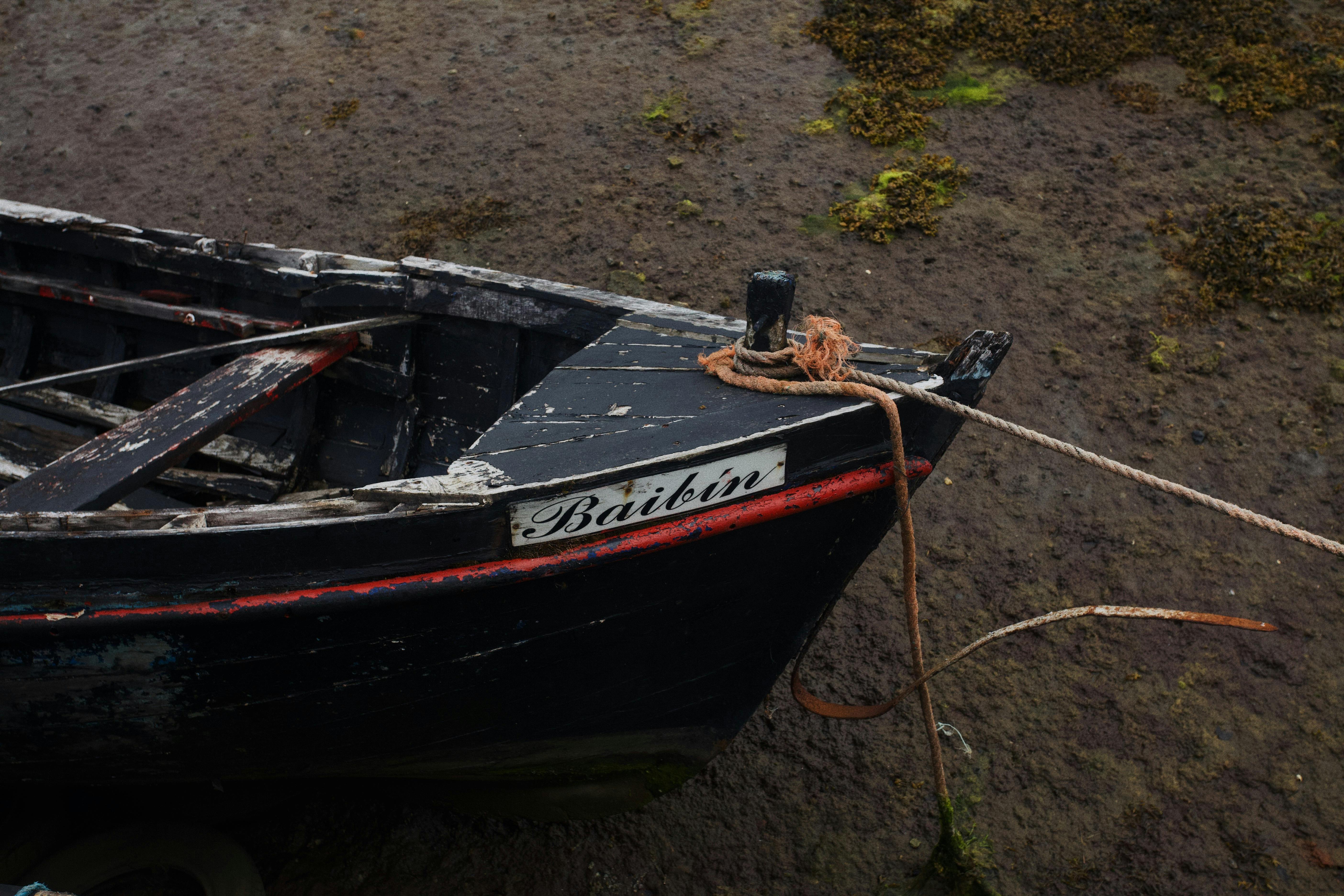 Close Up Shot of a Rowboat · Free Stock Photo