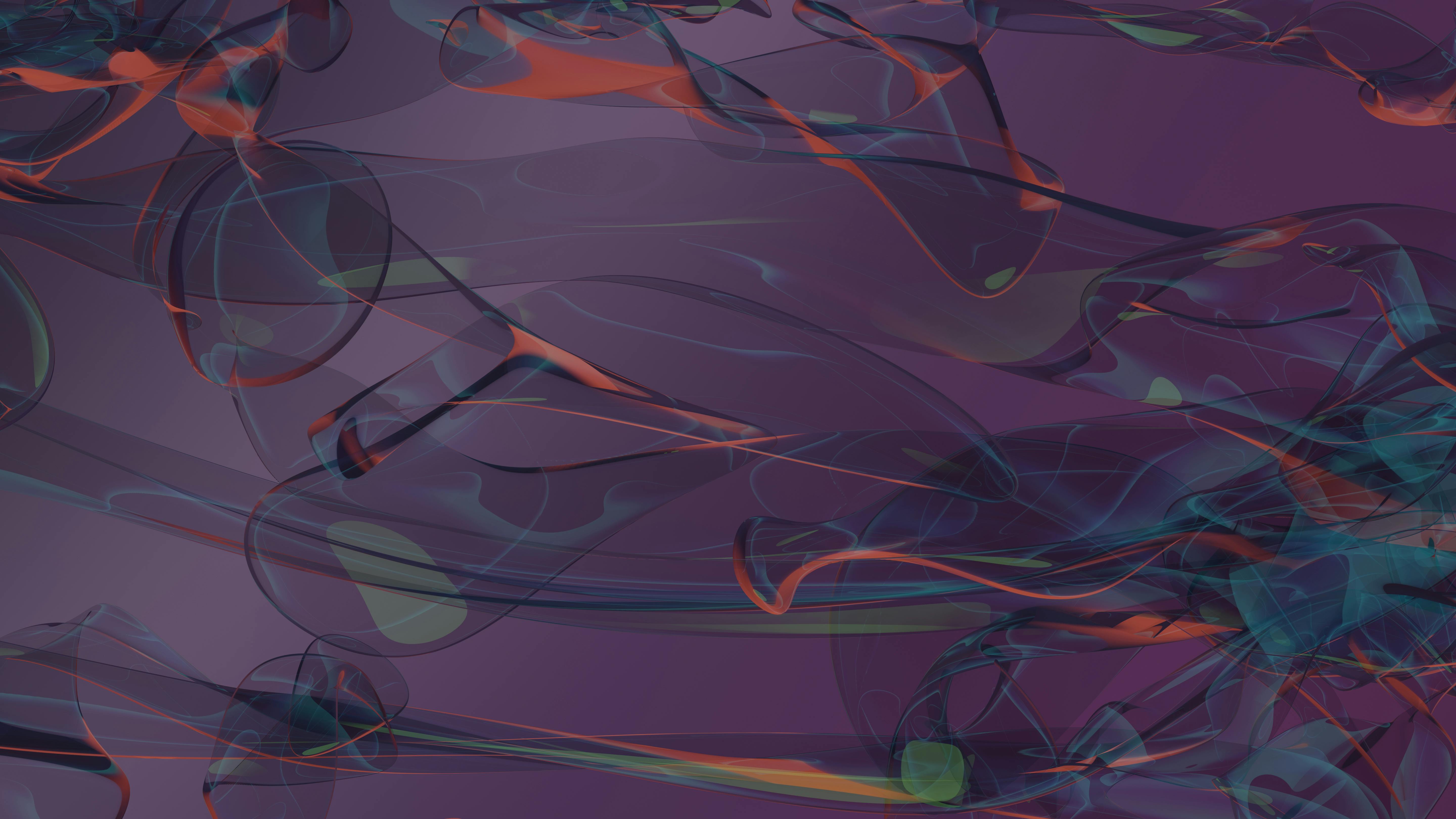 Steve Johnson - 摄影