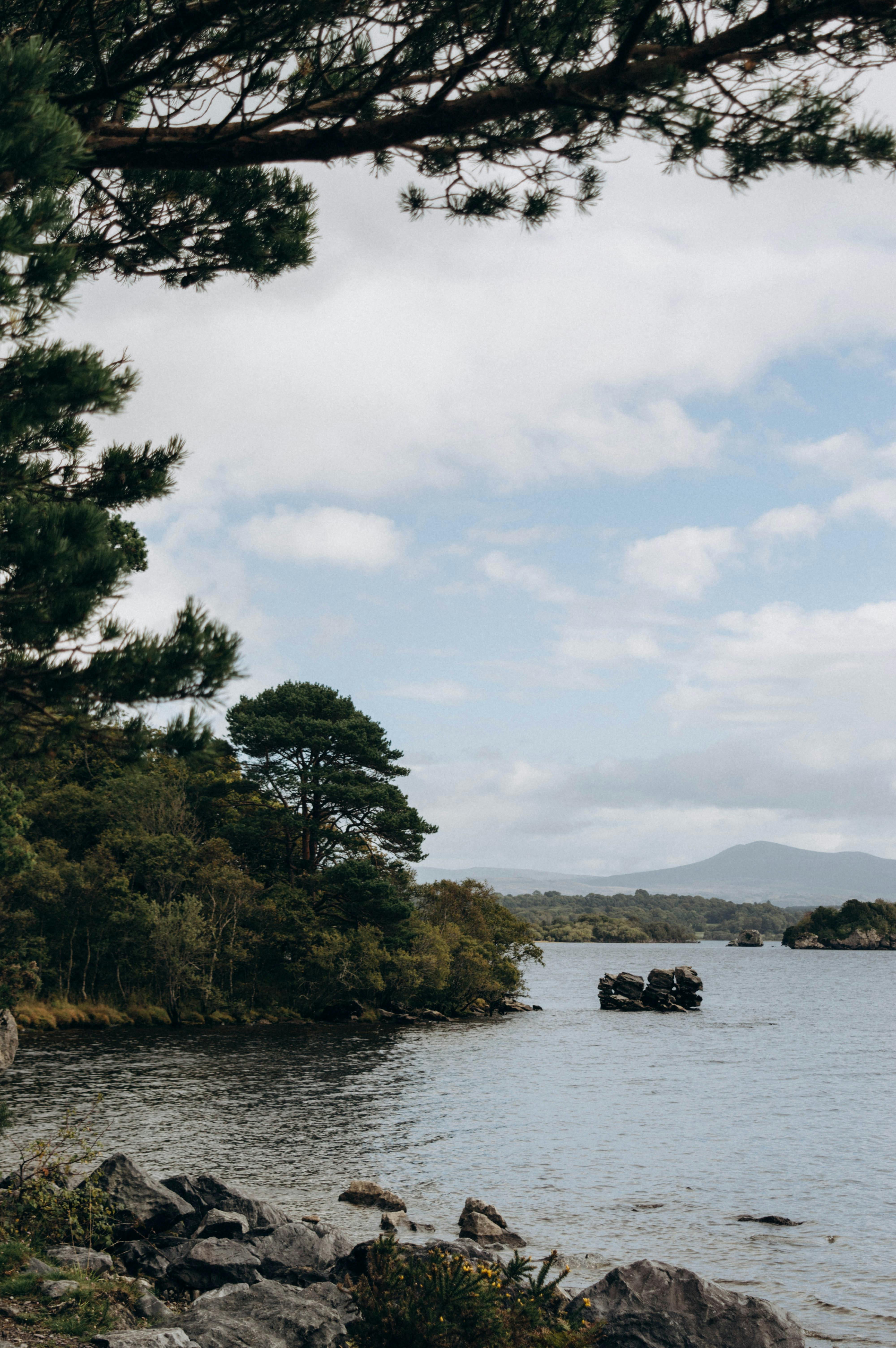 Sunlight over Lake behind Trees · Free Stock Photo