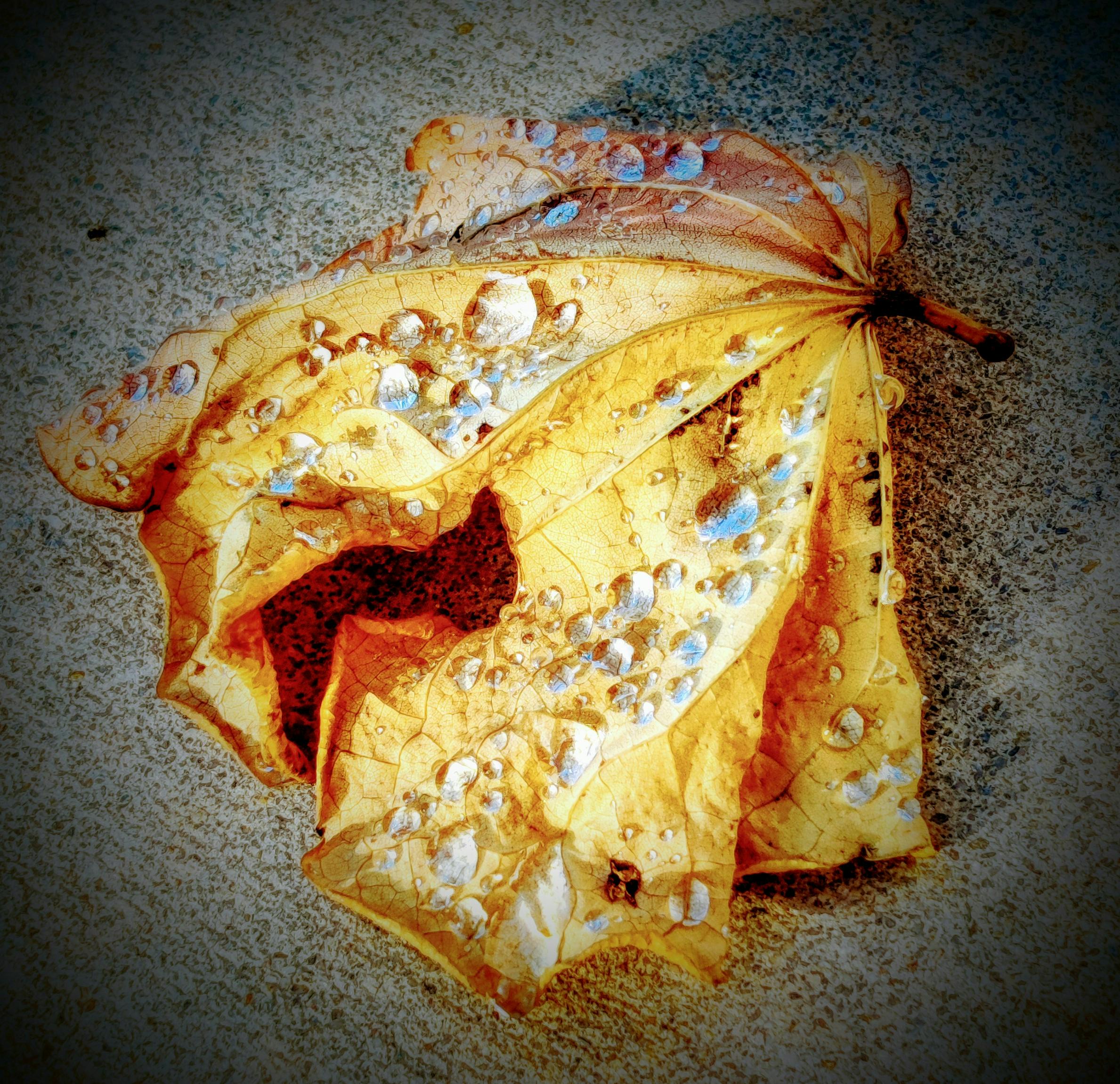 Amy Gabbert - Photography