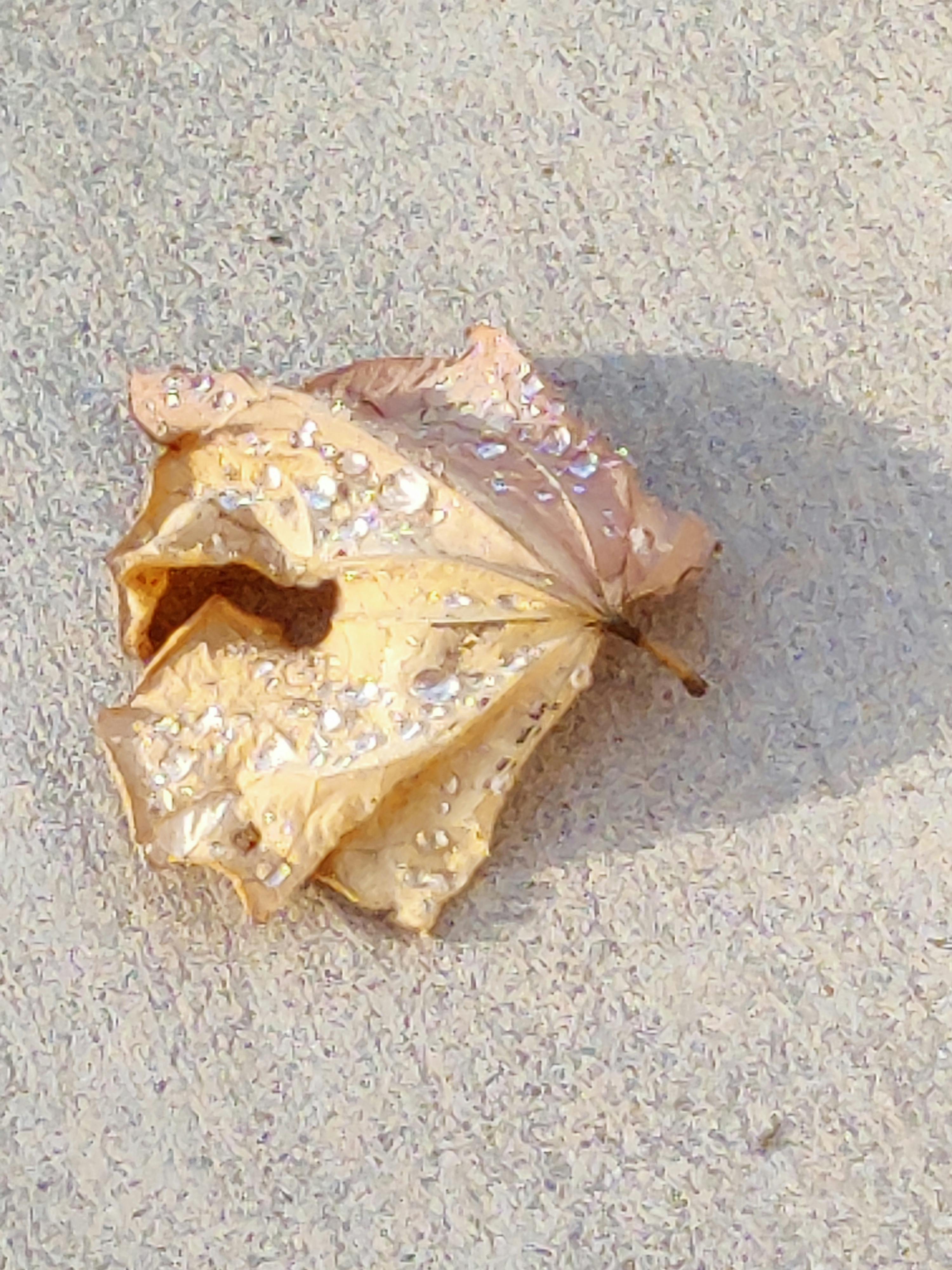 Amy Gabbert - Fotografía