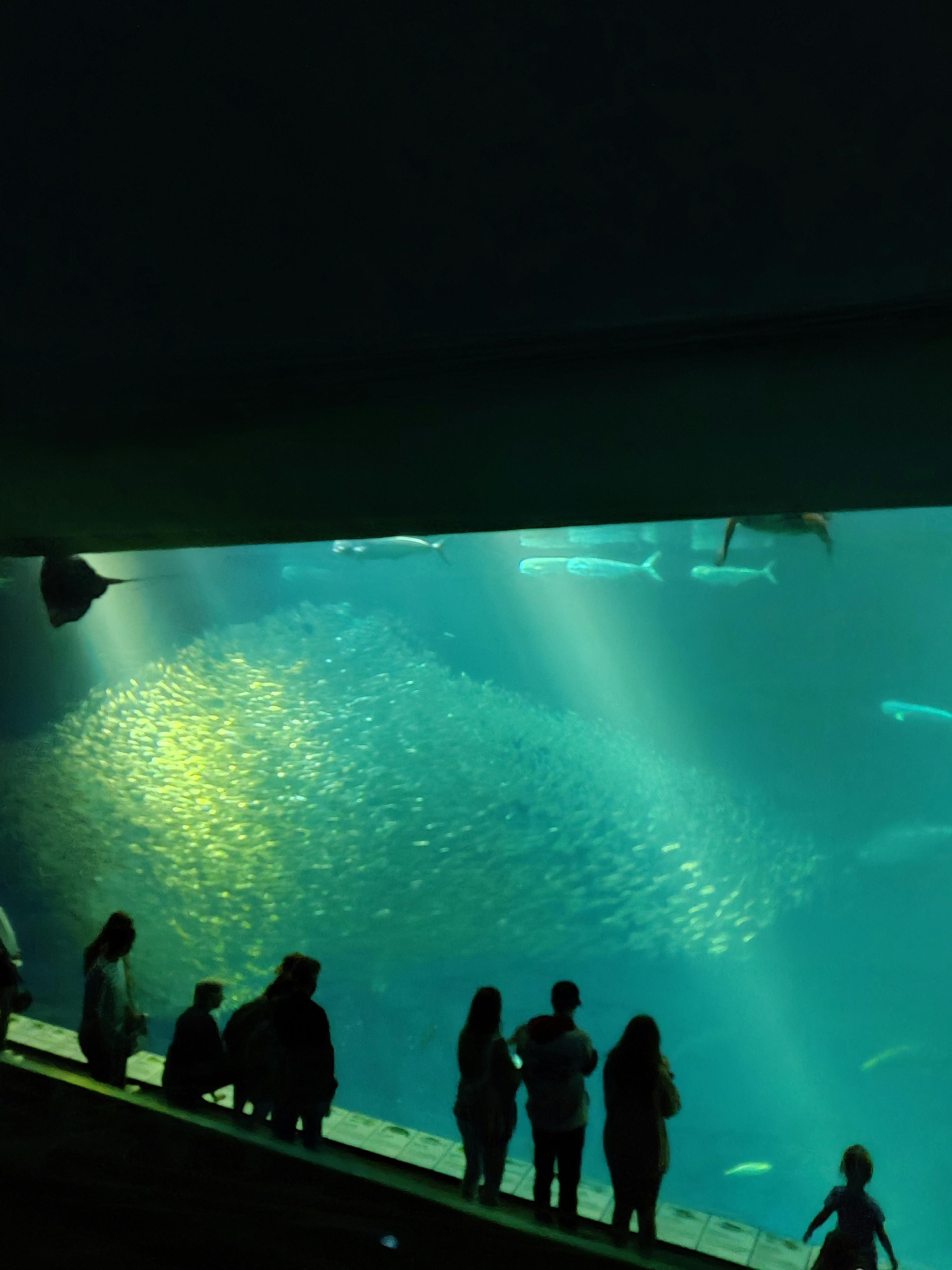 Amy Gabbert - Photography