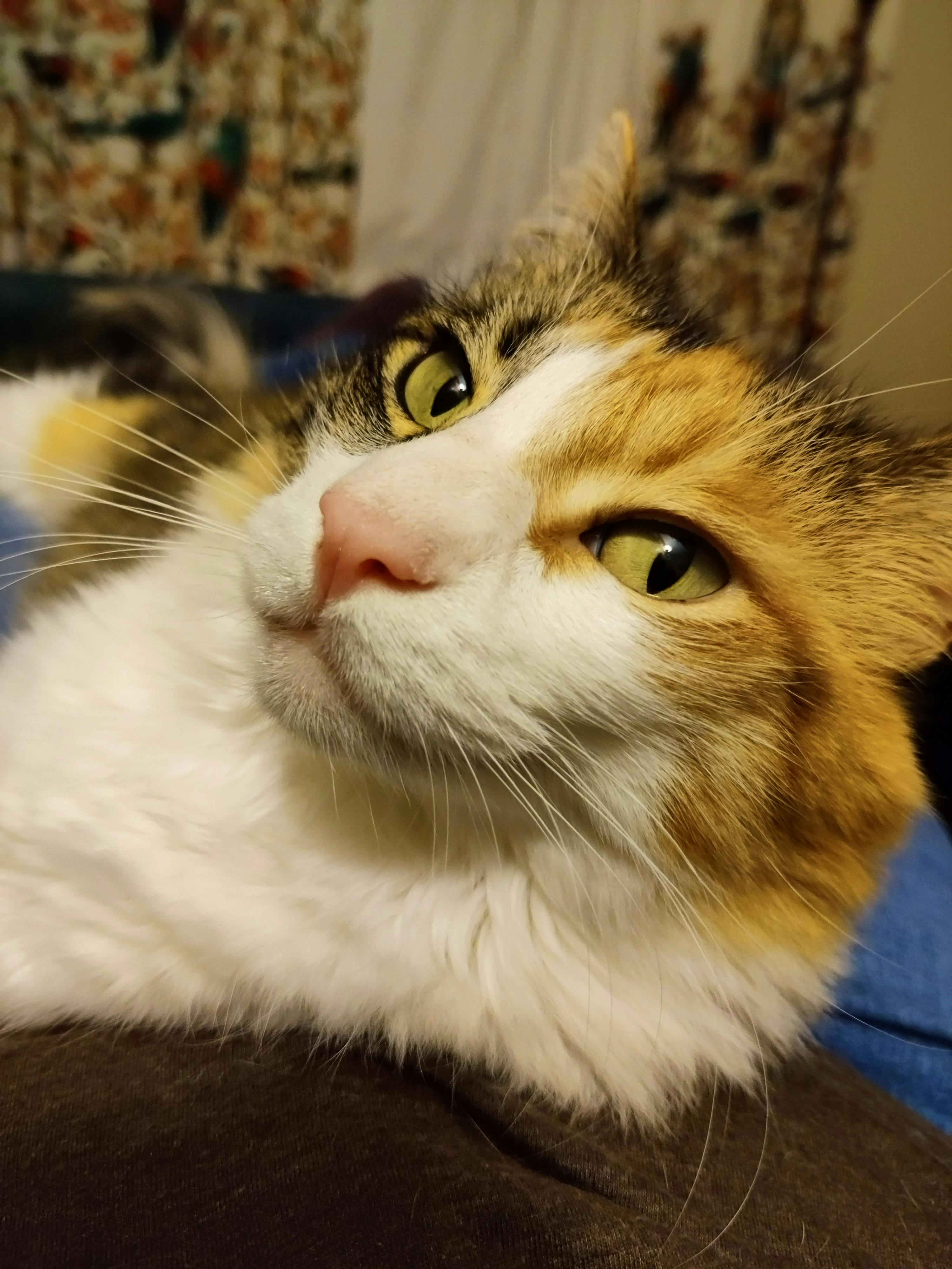 Amy Gabbert - Photography