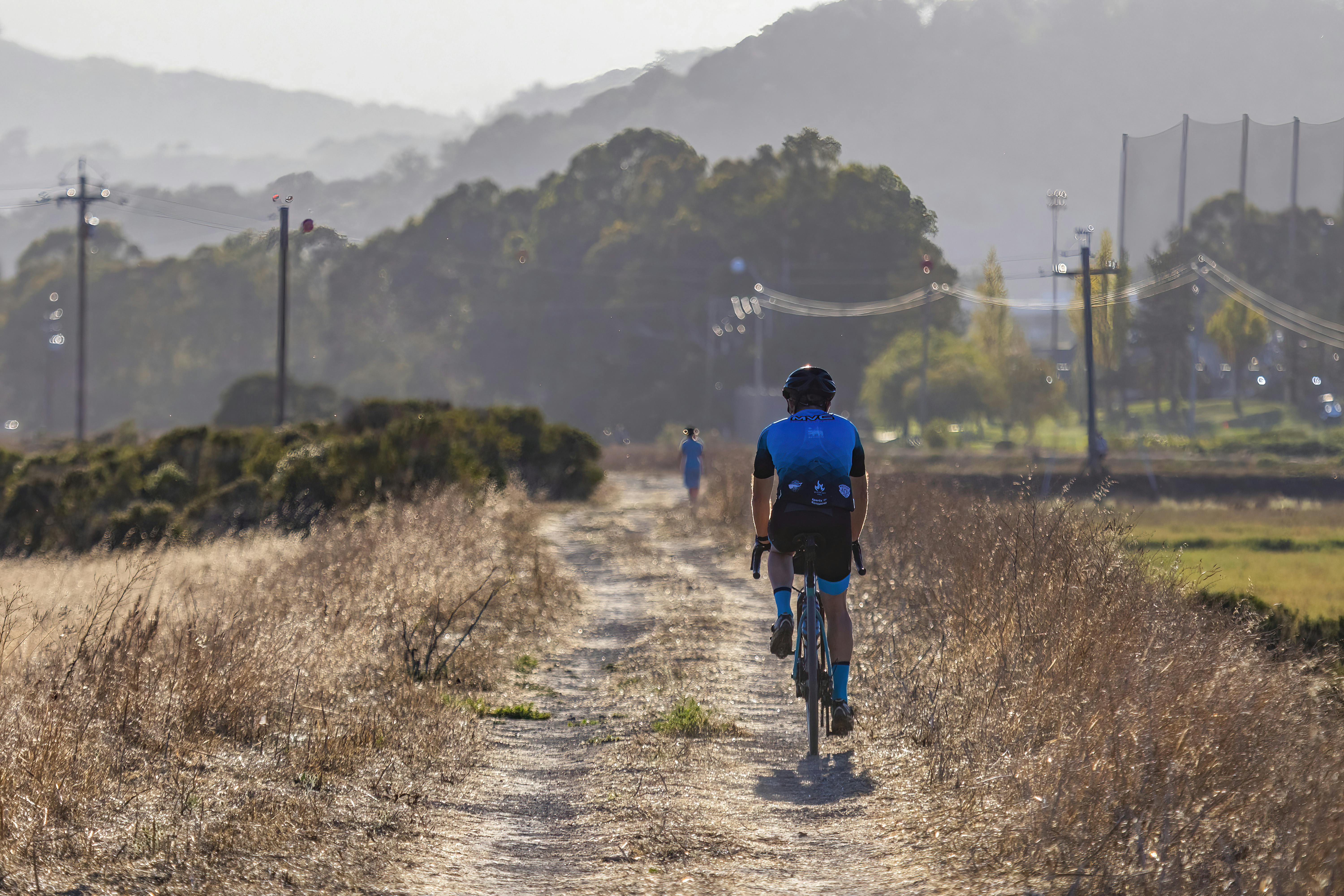 Back View of a Person using Bicycle · Free Stock Photo