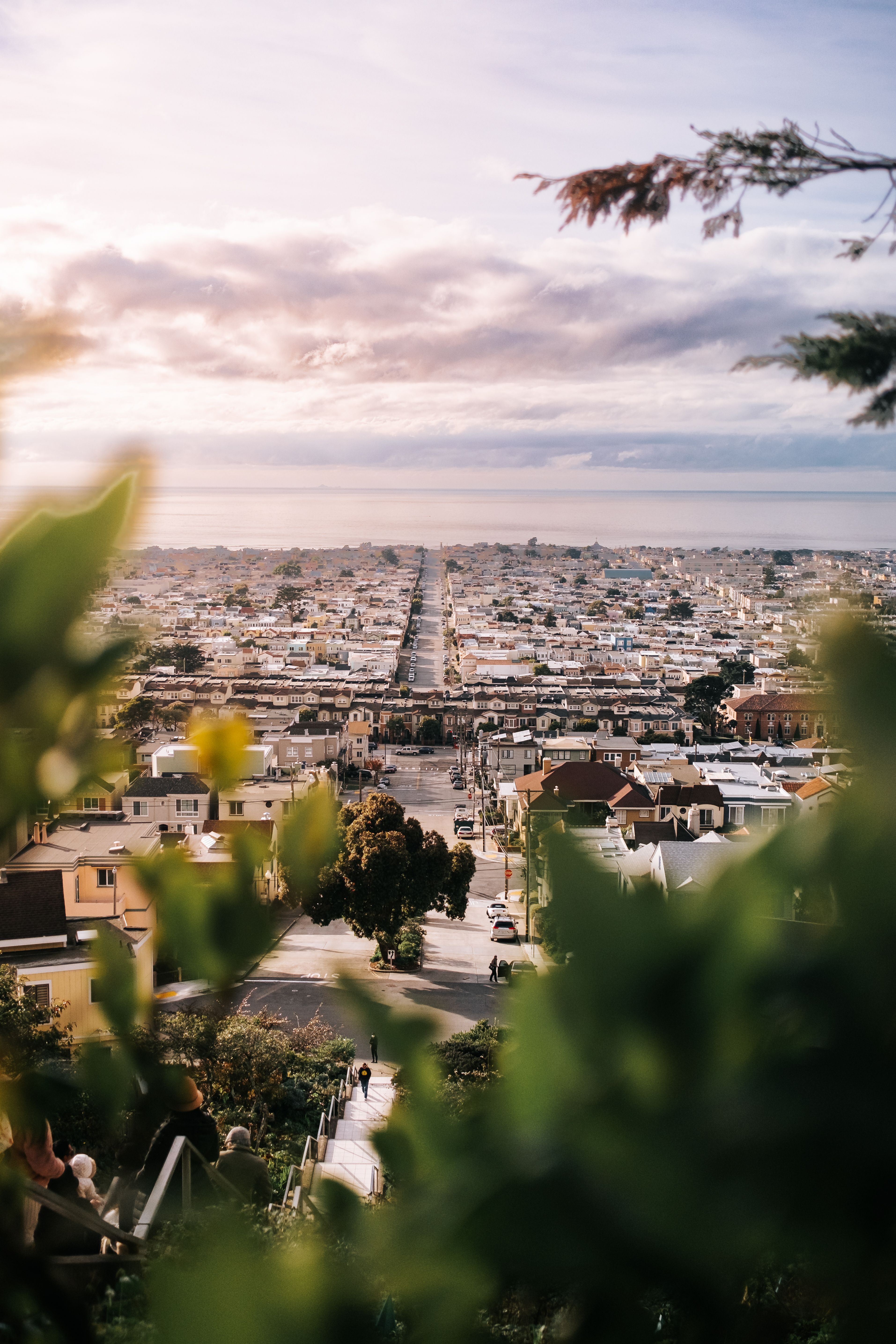 View of Suburbs · Free Stock Photo