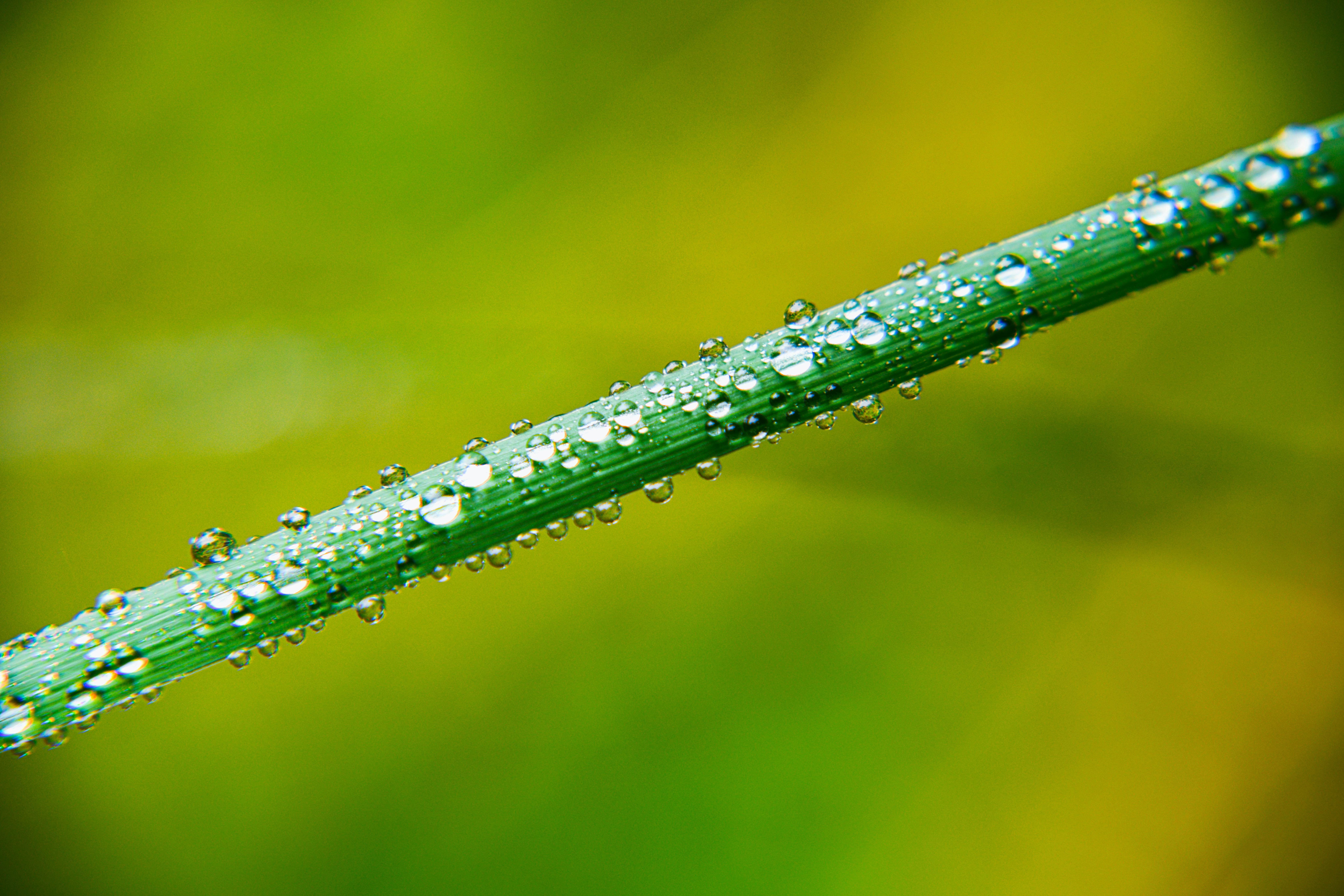 Water Dew on Glass Surface · Free Stock Photo