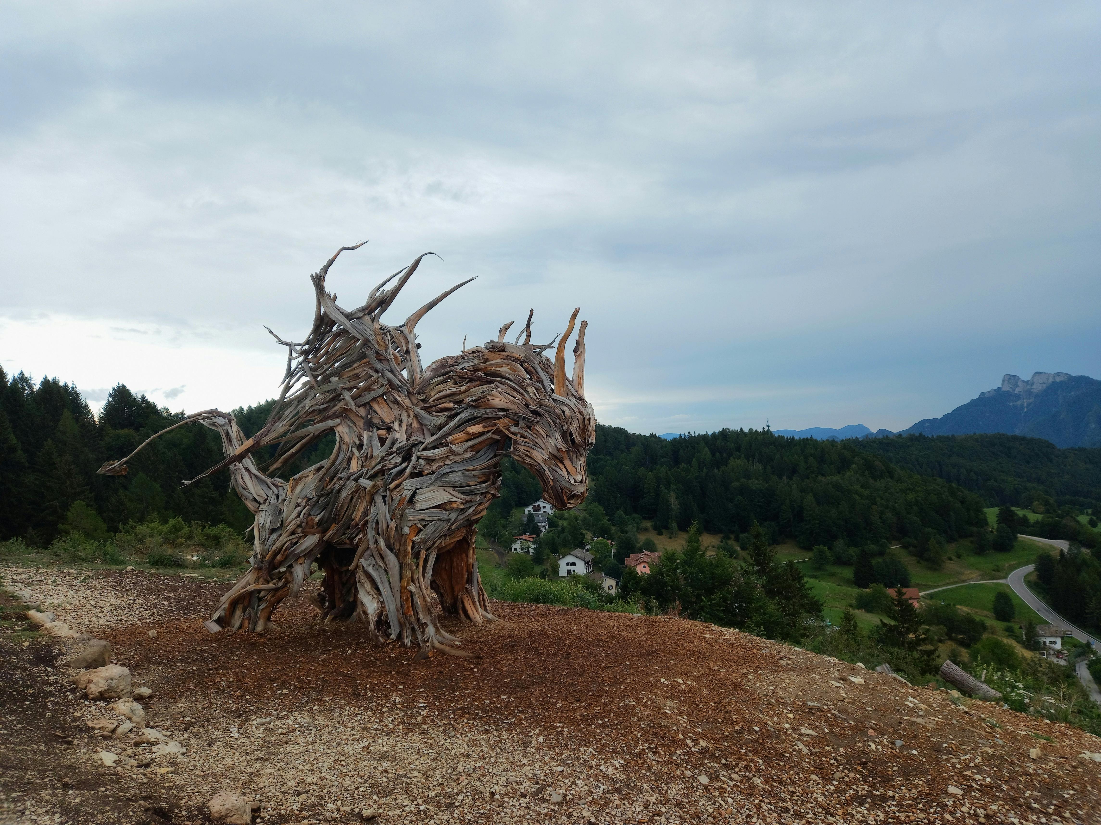 Andrea Parolini - 사진