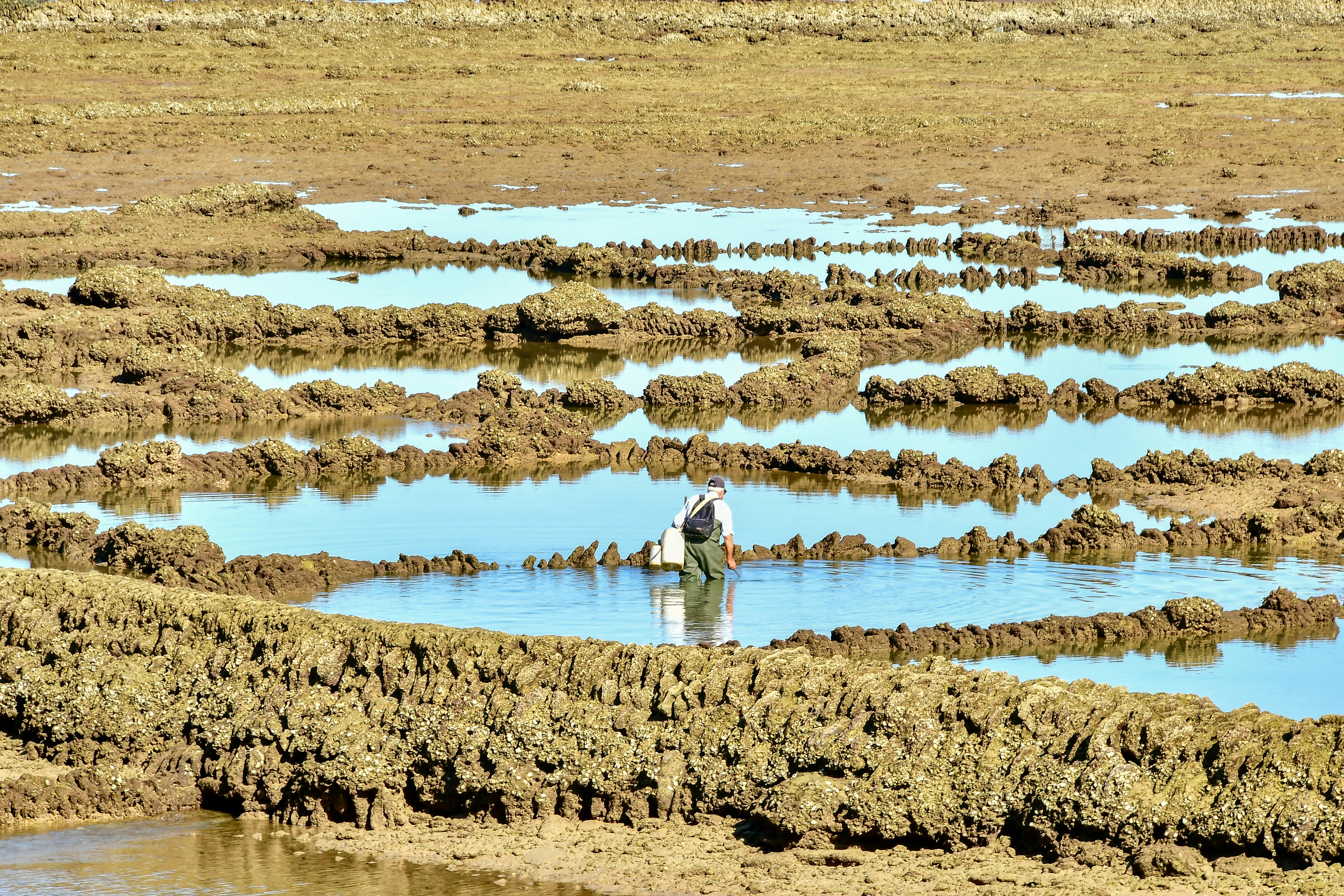 Man Walking in Water · Free Stock Photo