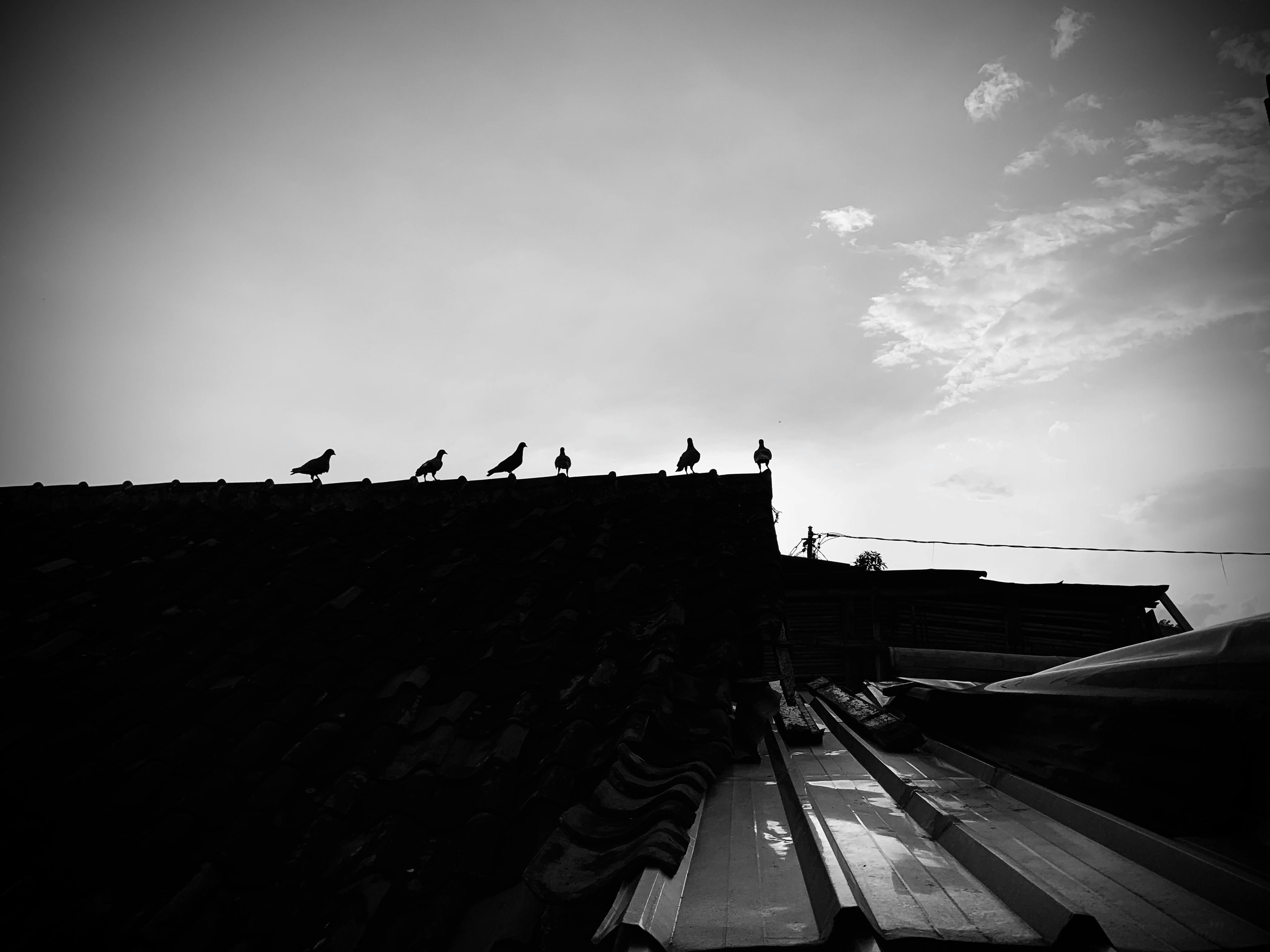 Ryan Aditya Amir - Photography