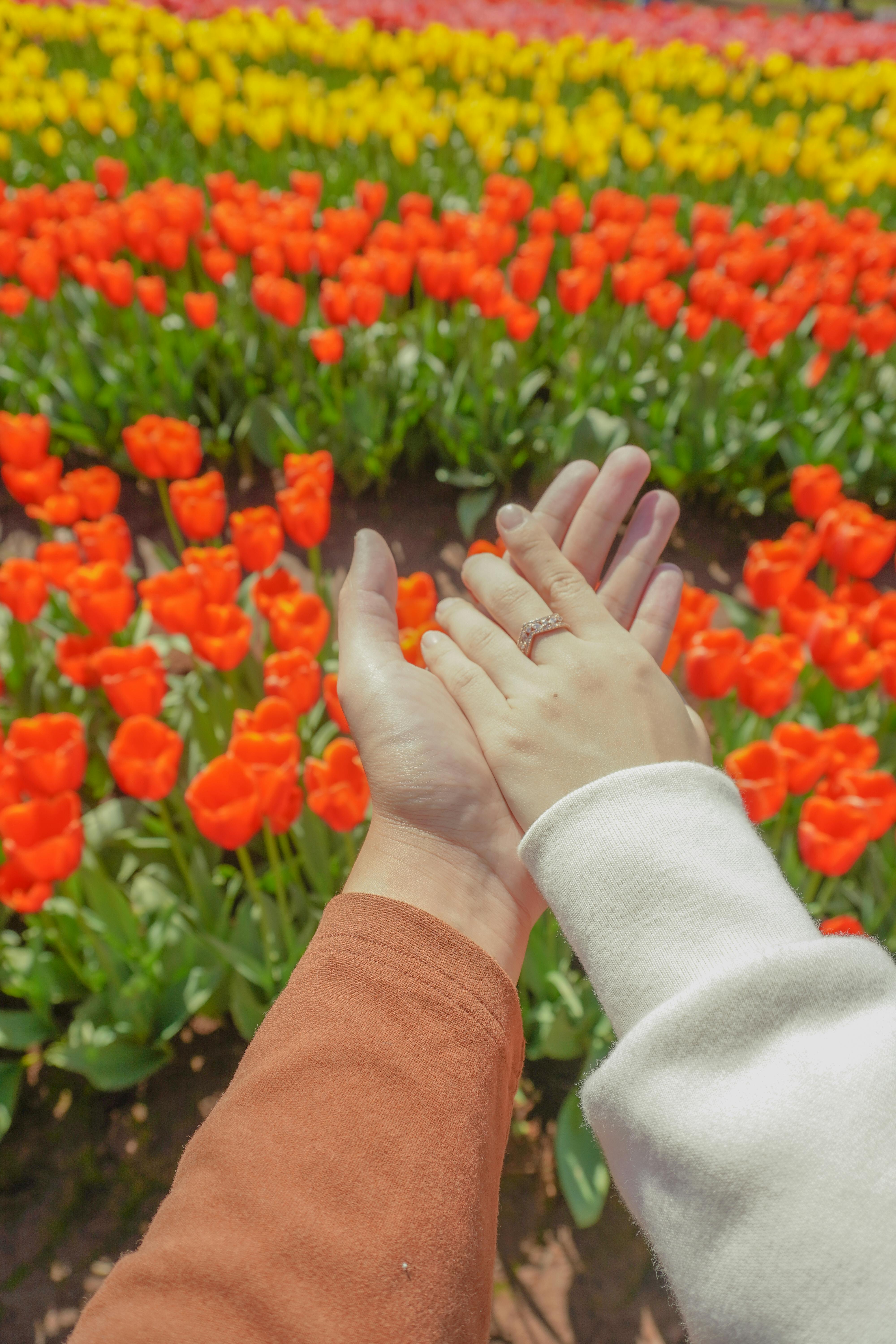 Photo Of People Holding Hands · Free Stock Photo