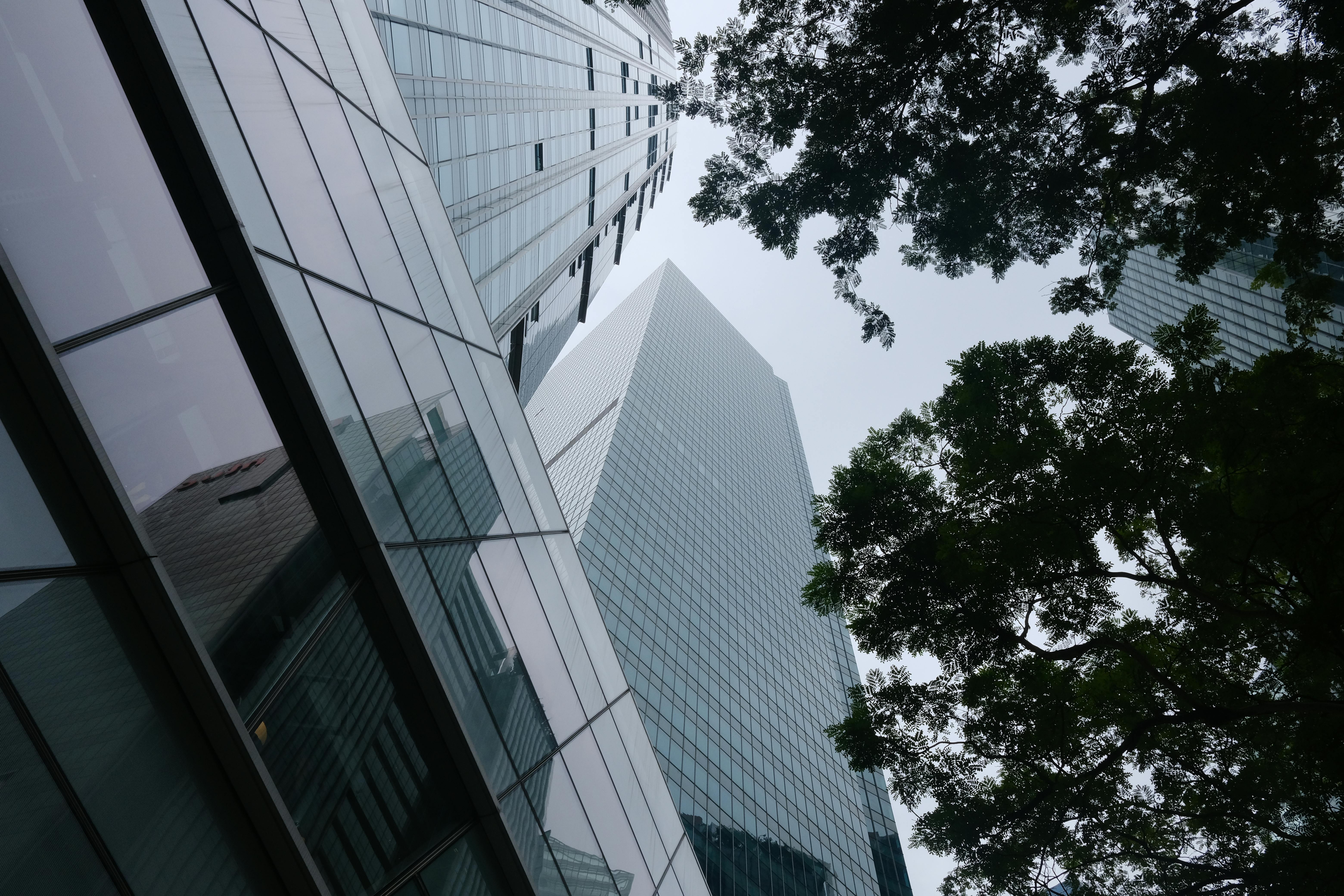 Trees outside High-Rise Buildings · Free Stock Photo