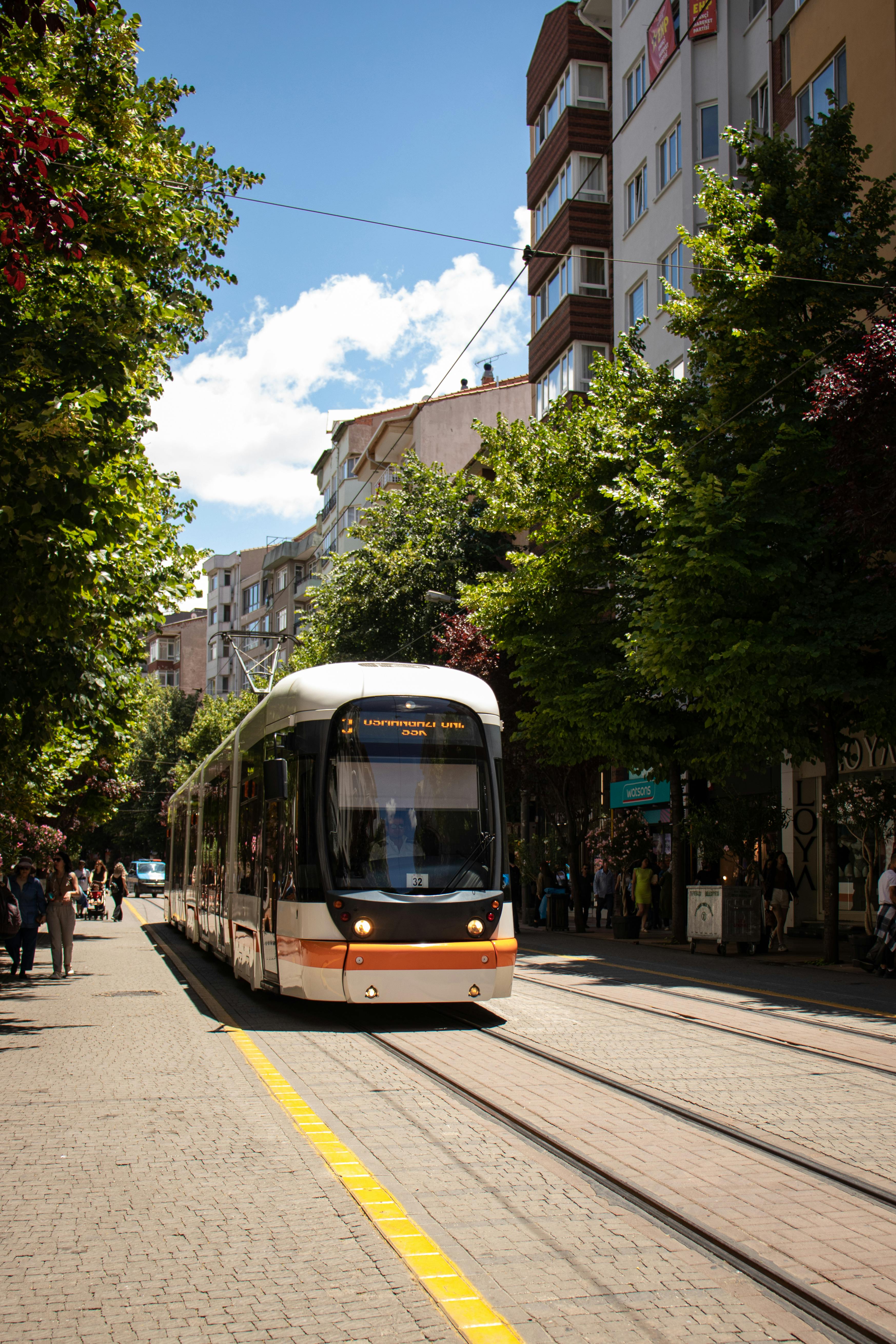 Bus on a Street · Free Stock Photo