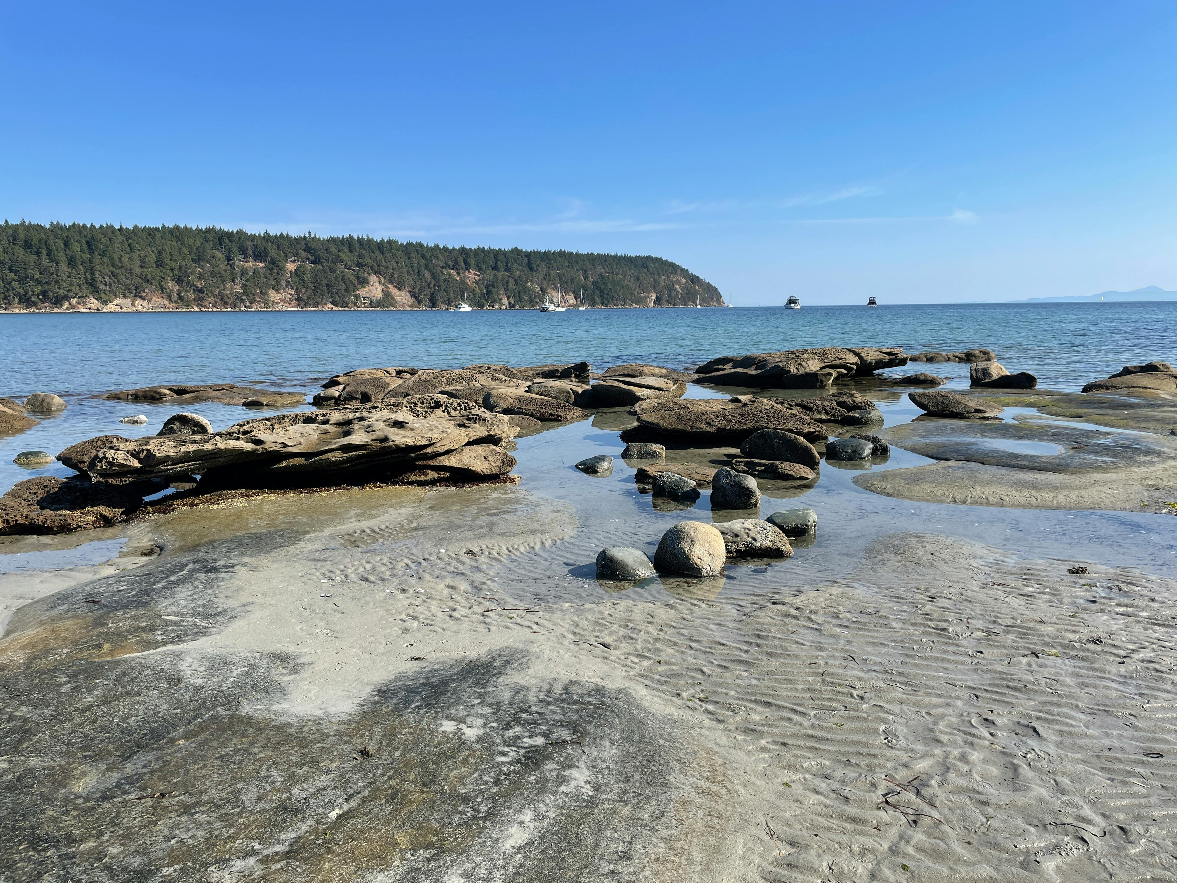 A Rocky Shore on the Beach Under the Blue Sky · Free Stock Photo