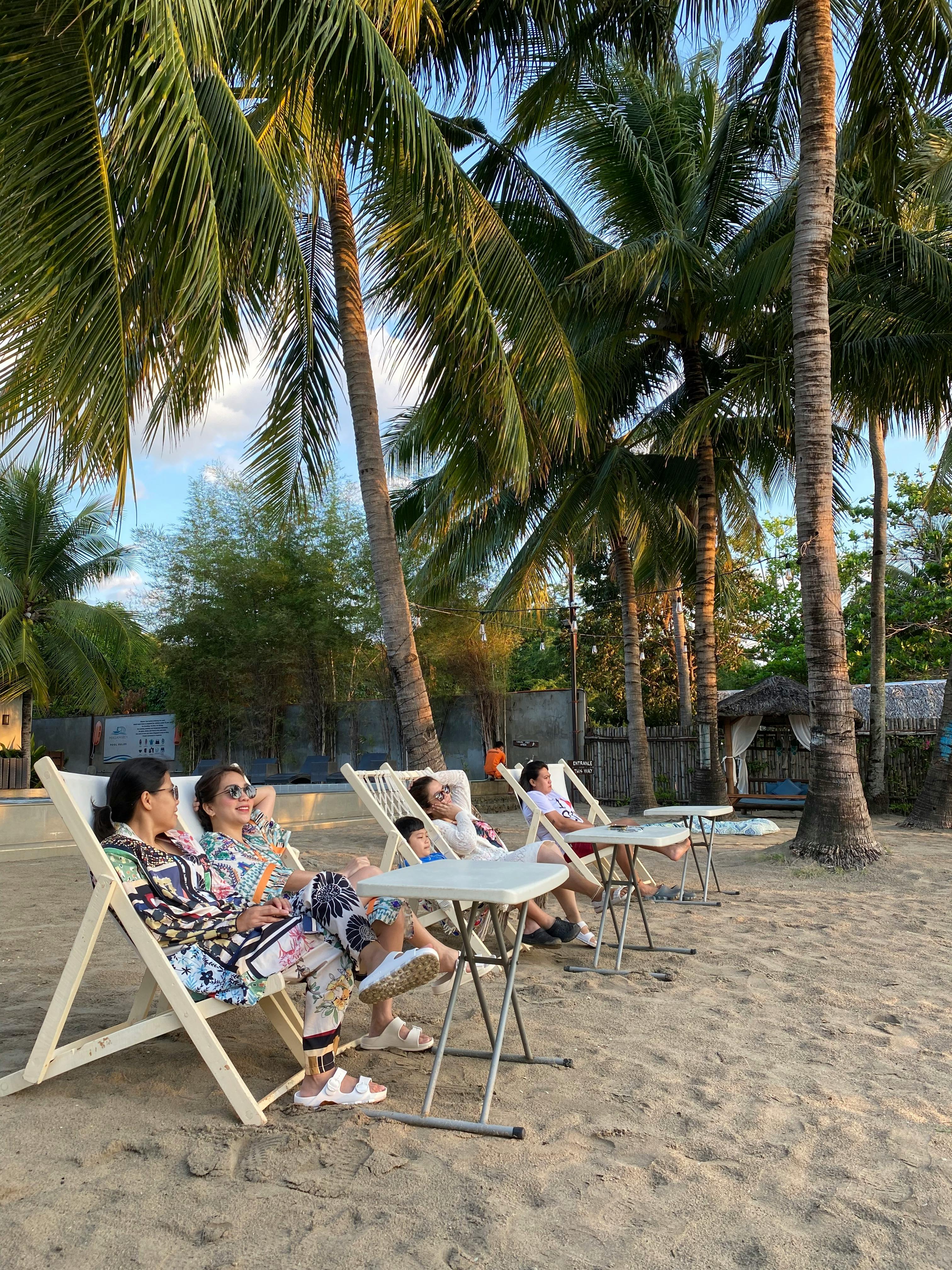 People Sitting on White Beach Chairs Under Palm Trees · Free Stock Photo