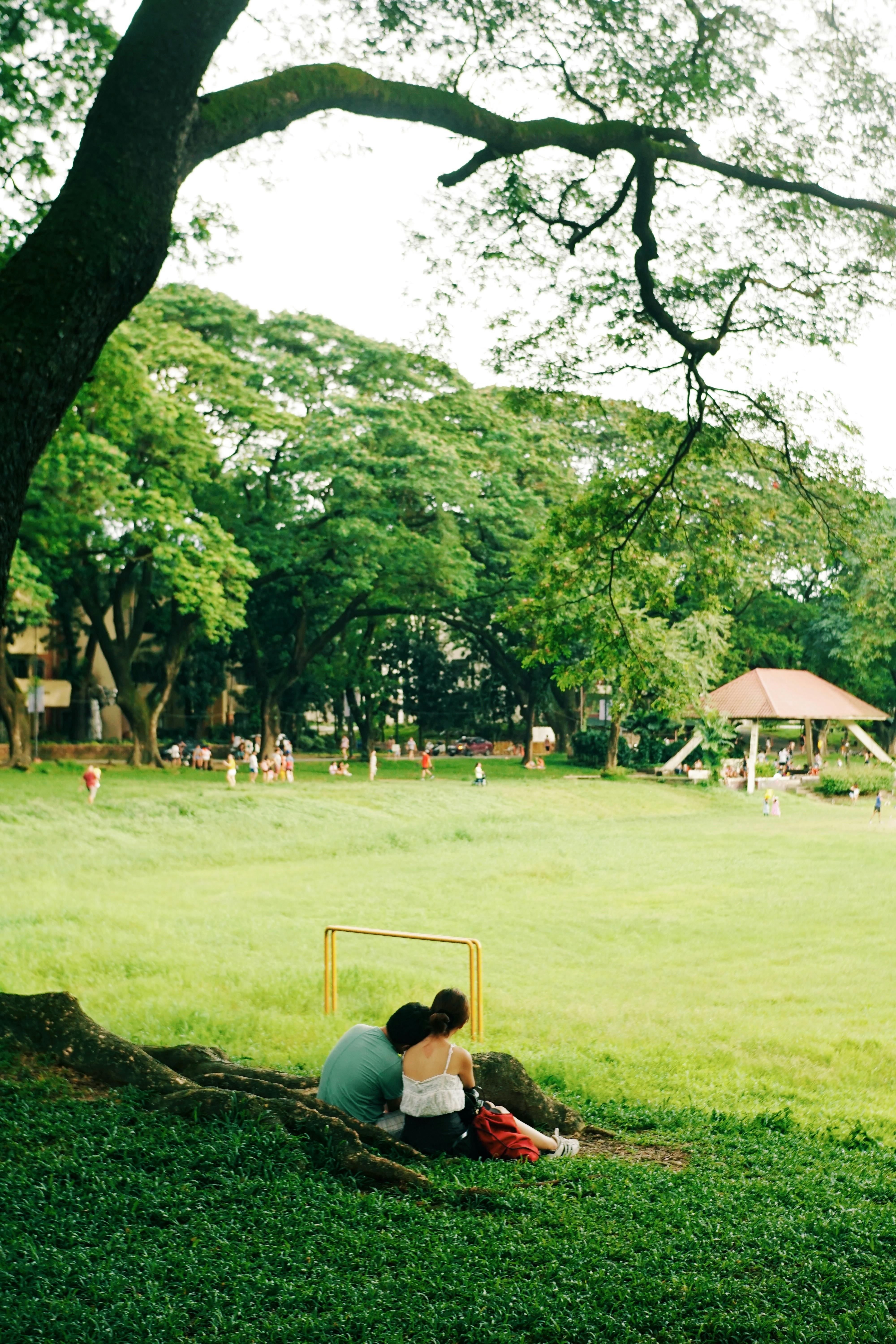 Couple Cuddle in Park Under Tree · Free Stock Photo