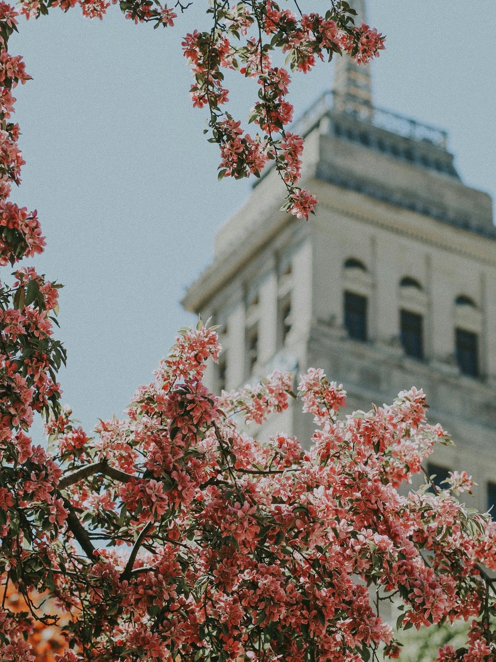 Building Perimeter Photos, Download The BEST Free Building Perimeter ...