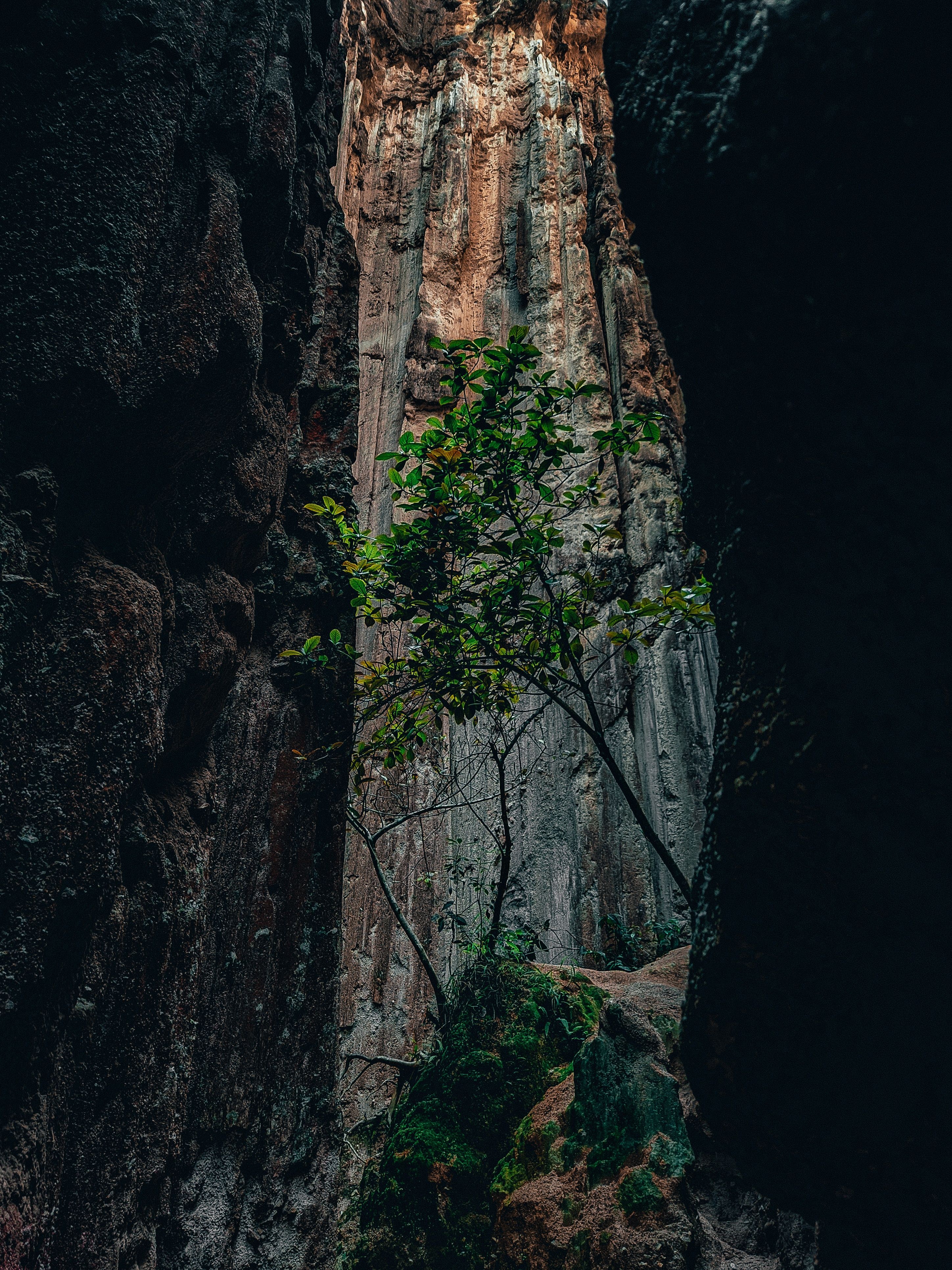 Cave · Free Stock Photo