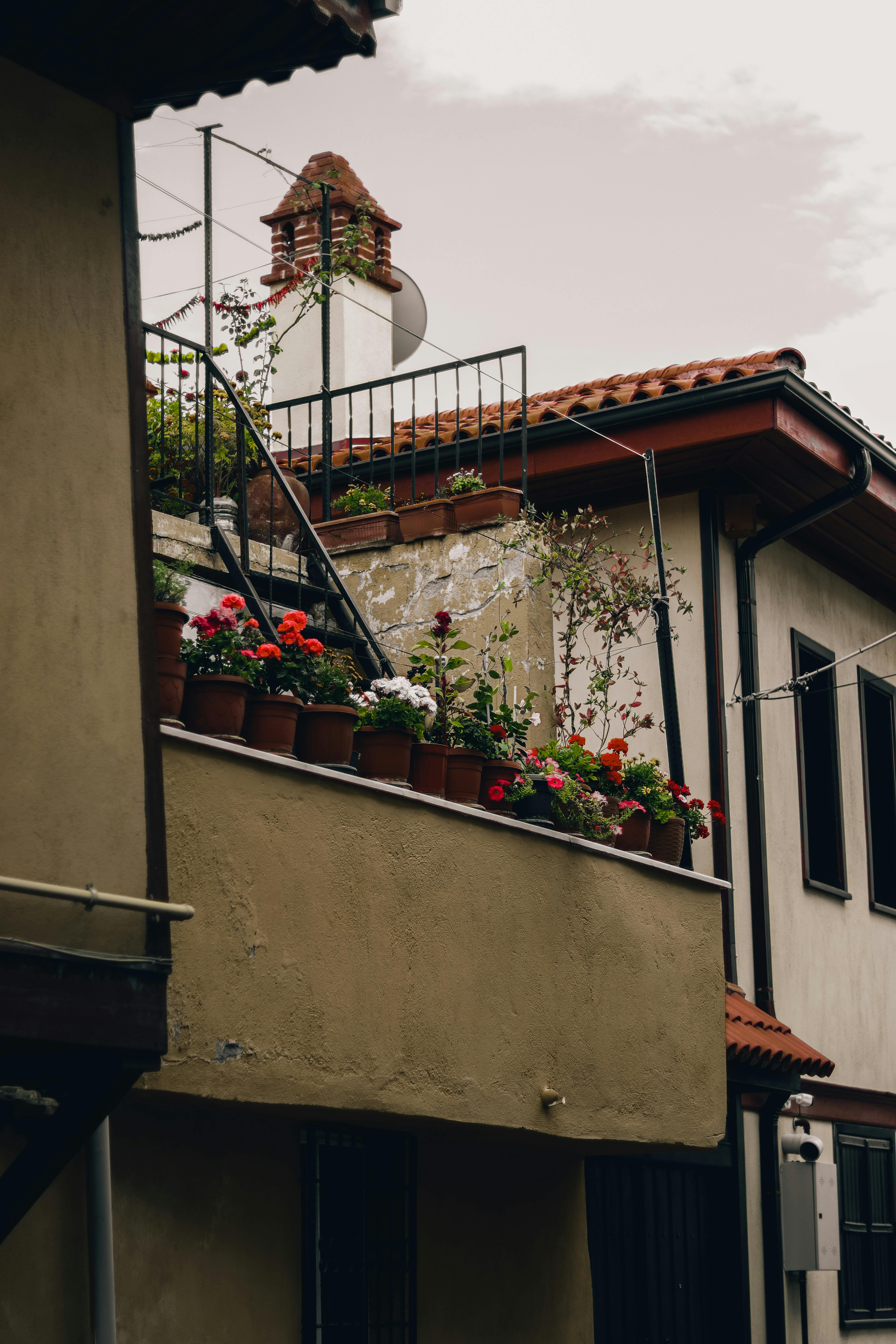 Plants and Flowers on a Terrace · Free Stock Photo
