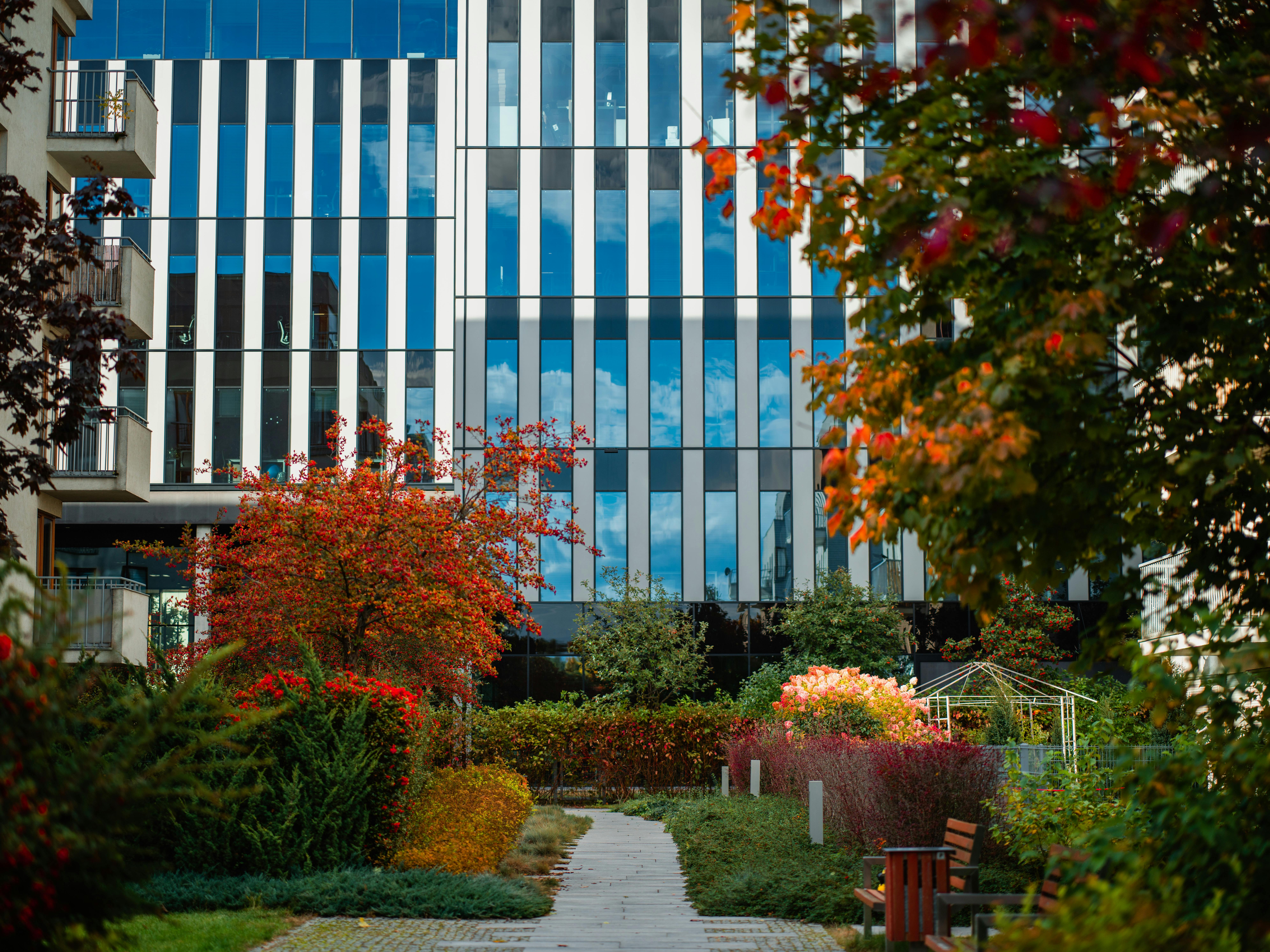 Autumn Office Photos, Download The BEST Free Autumn Office Stock Photos ...