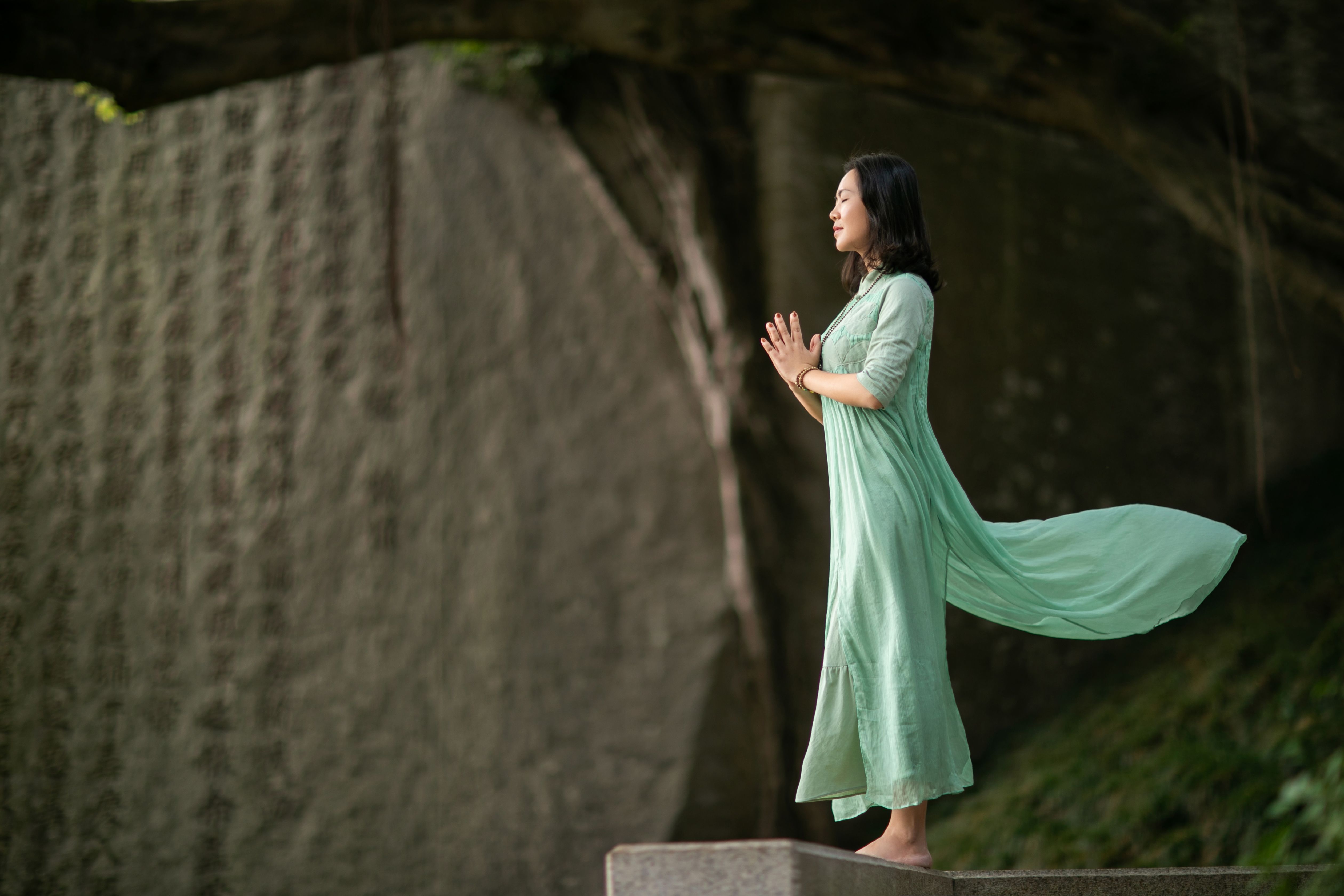Praying Mantas Photos, Download The BEST Free Praying Mantas Stock ...